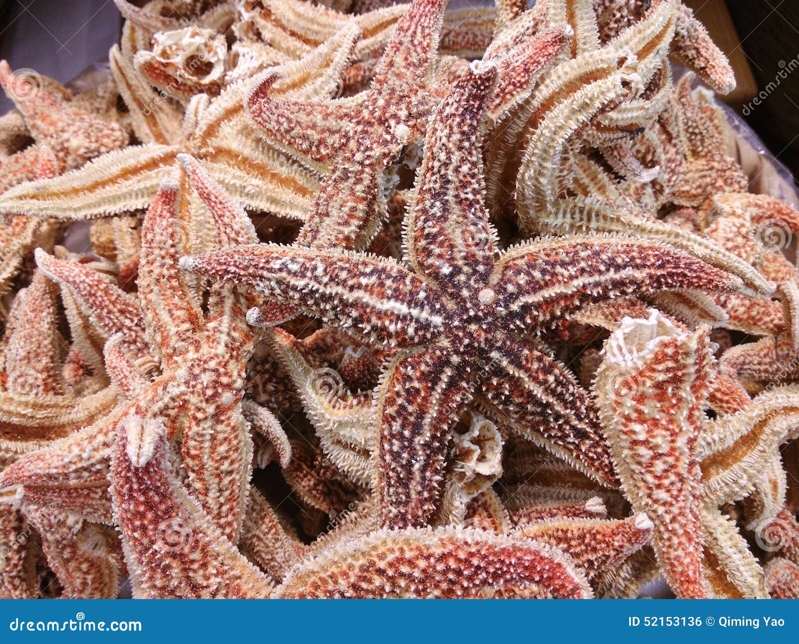 Dried starfish stock photo. Image of star, ingredients - 52153136