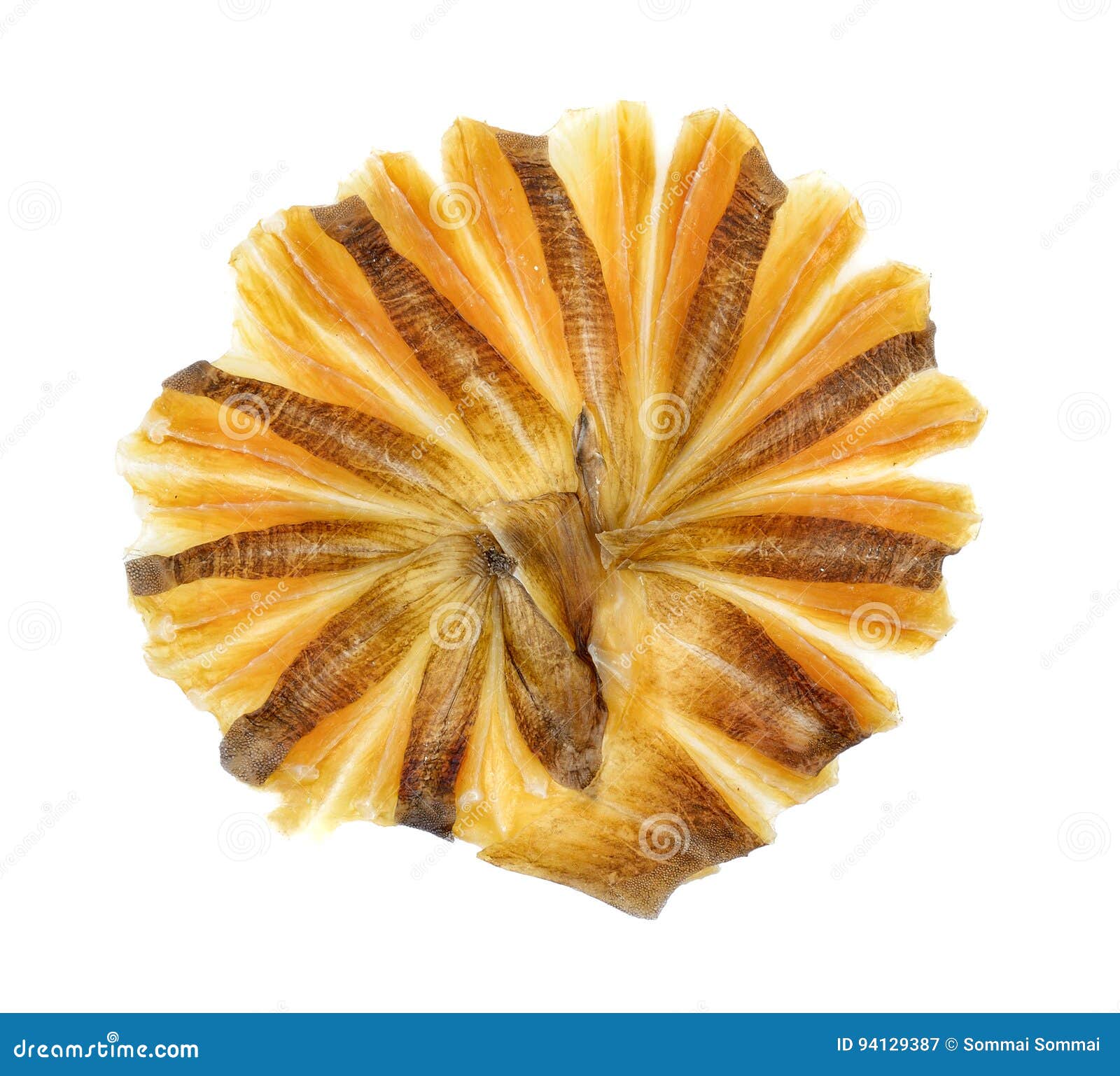 Dried Stingray fish stock image. Image of food, prepared - 94129387