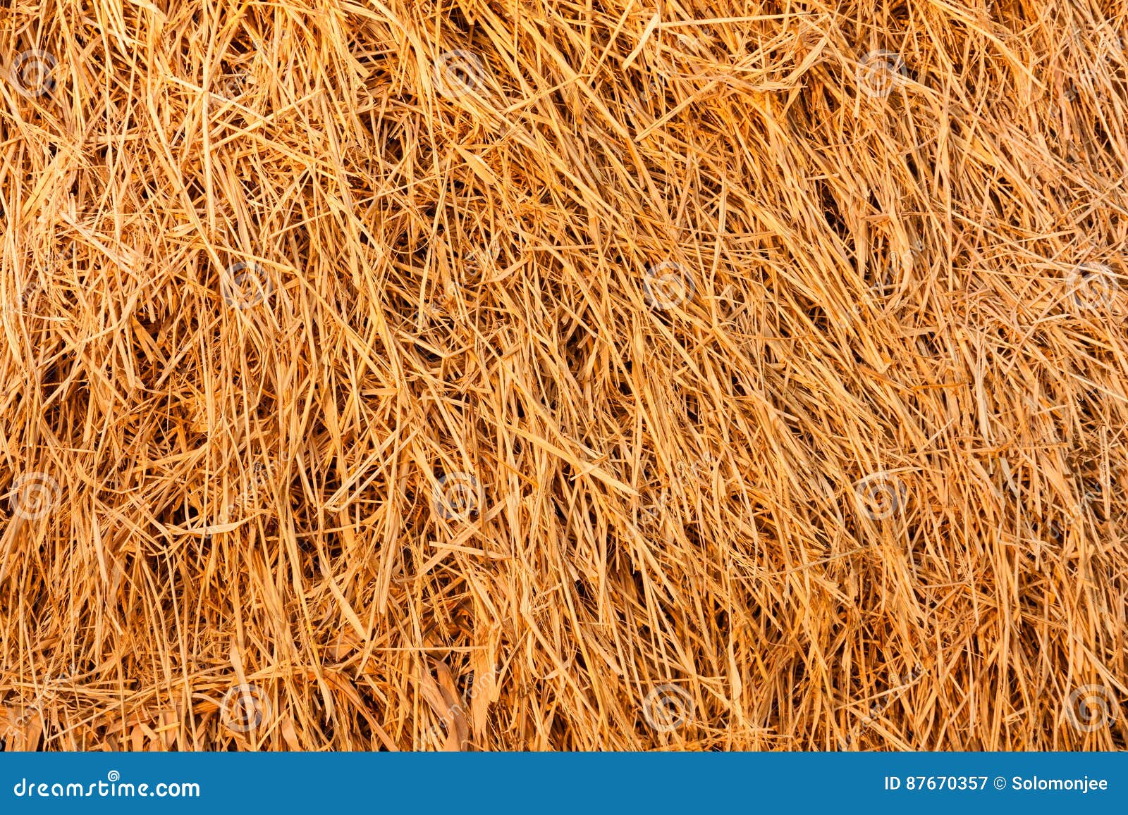 Dried straw background stock image. Image of wallpaper - 87670357