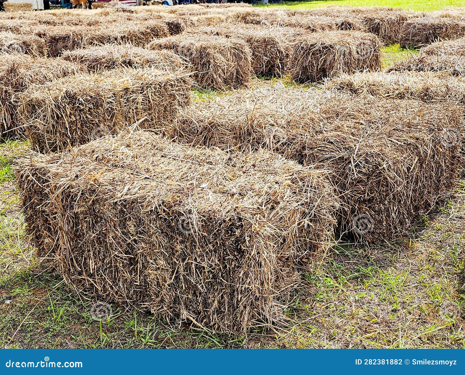 Dried Straw, Dry haystack stock photo. Image of town - 282381882
