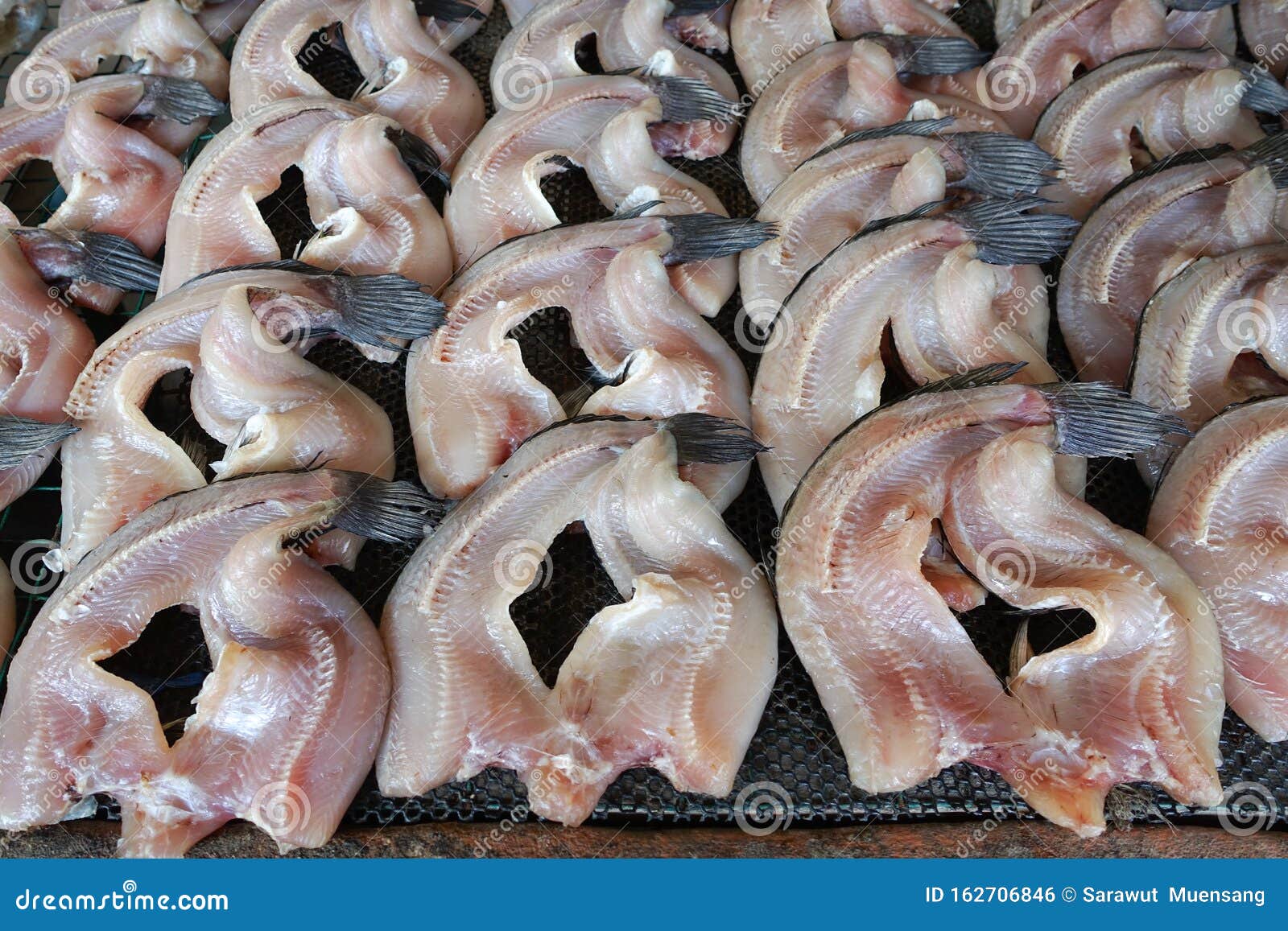 Dried Striped Snakehead Fish Stock Photo - Image of celebration, asia ...