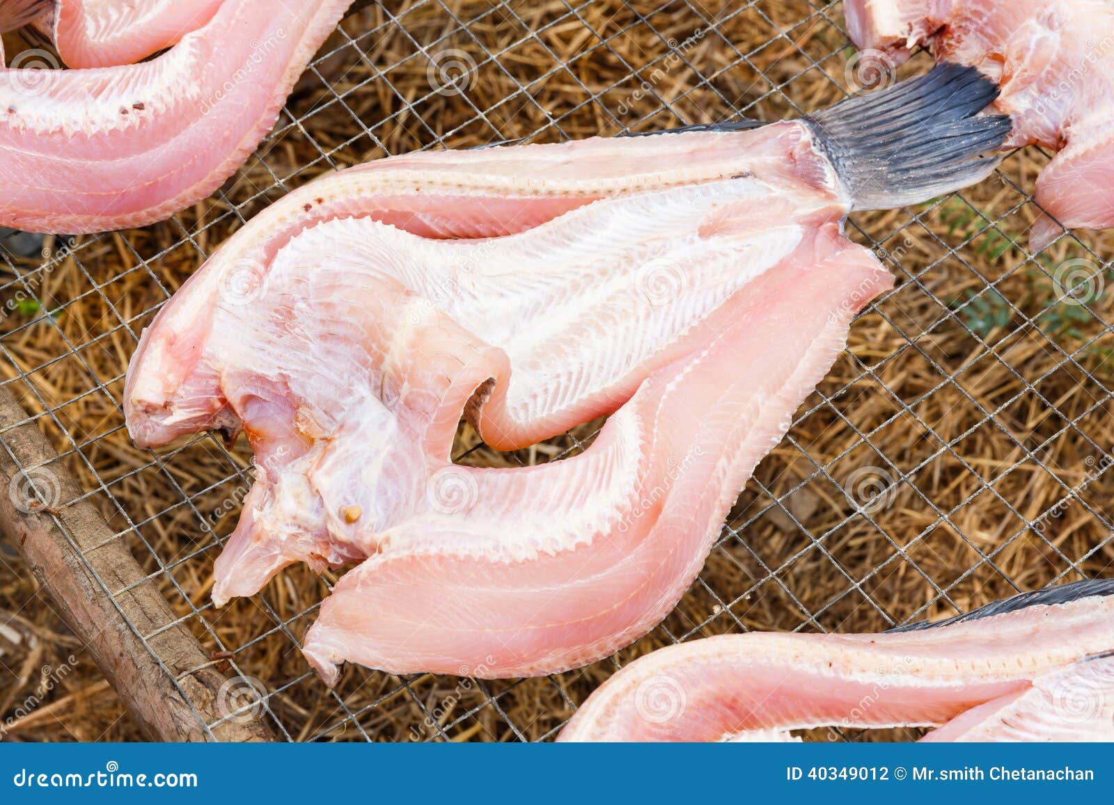 Dried Striped Snakehead Fish Stock Photo - Image of ingredient, chevron ...