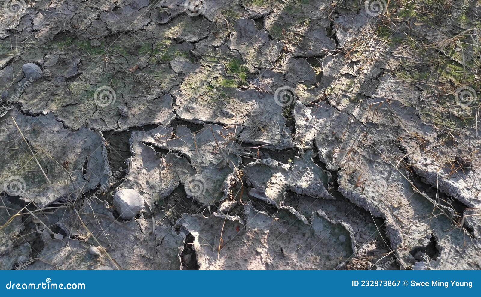Dried Surface Crack on the Surface of the Earth. Stock Video - Video of ...