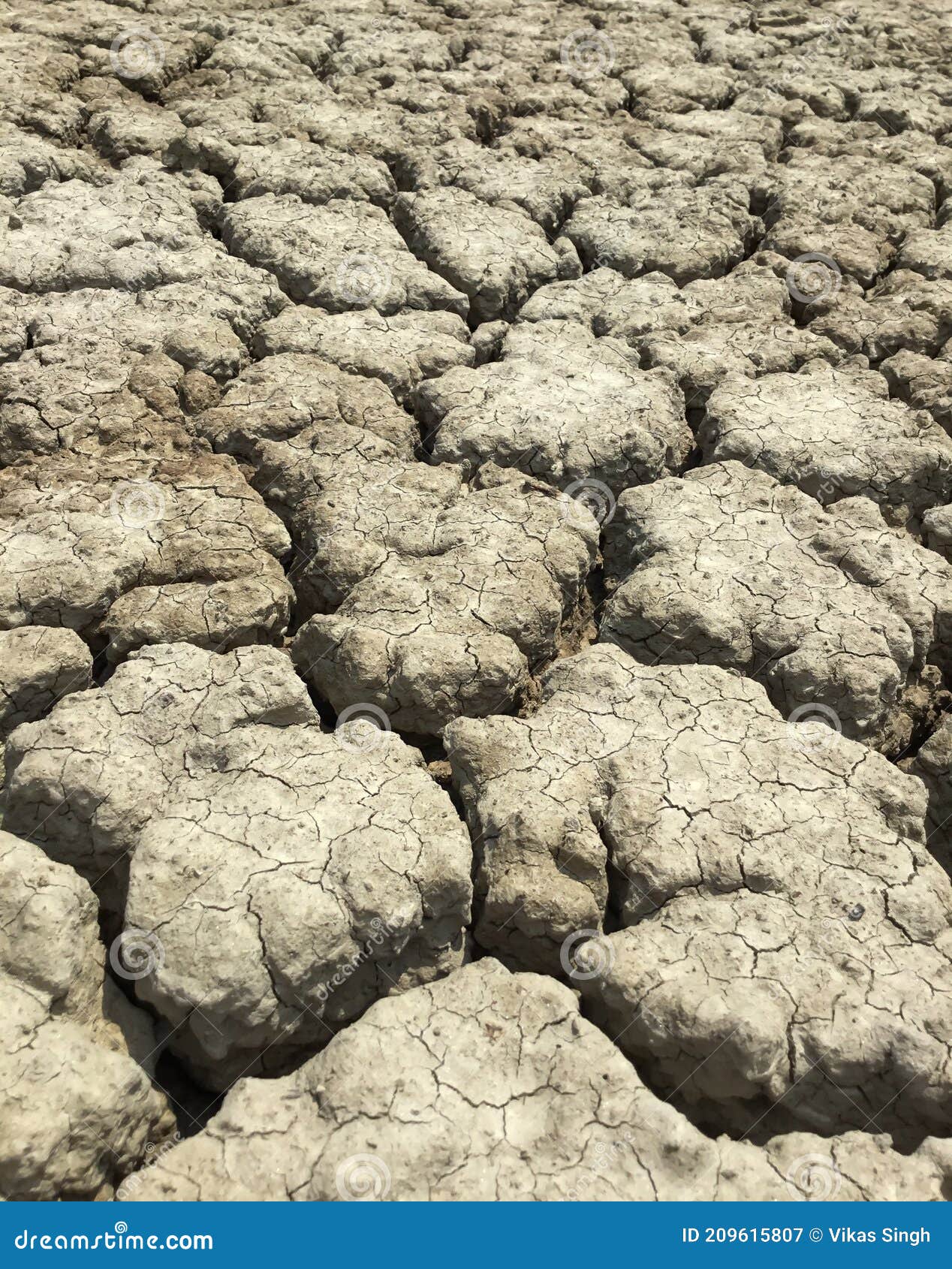 Dried Swamp Soil Shot from a High Angle Point - Drought Concept. Stock ...