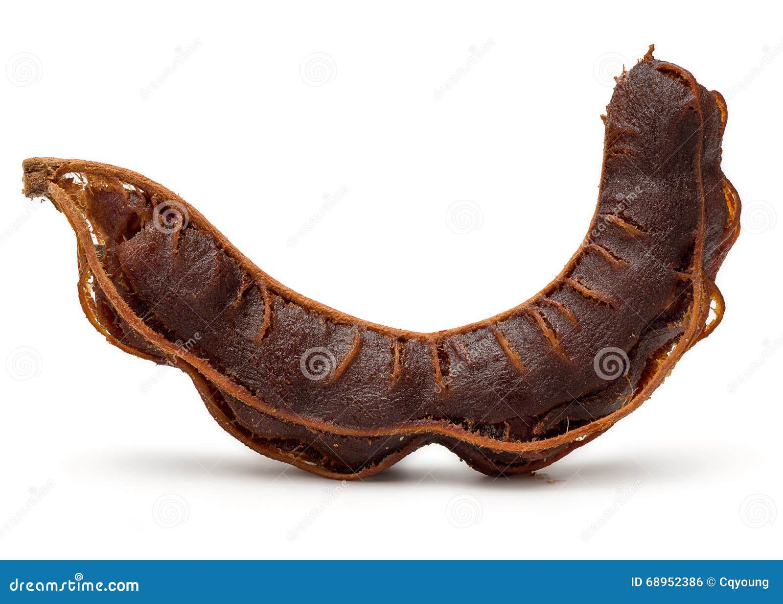 Dried Tamarind Fruit stock photo. Image of clipping, shell - 68952386