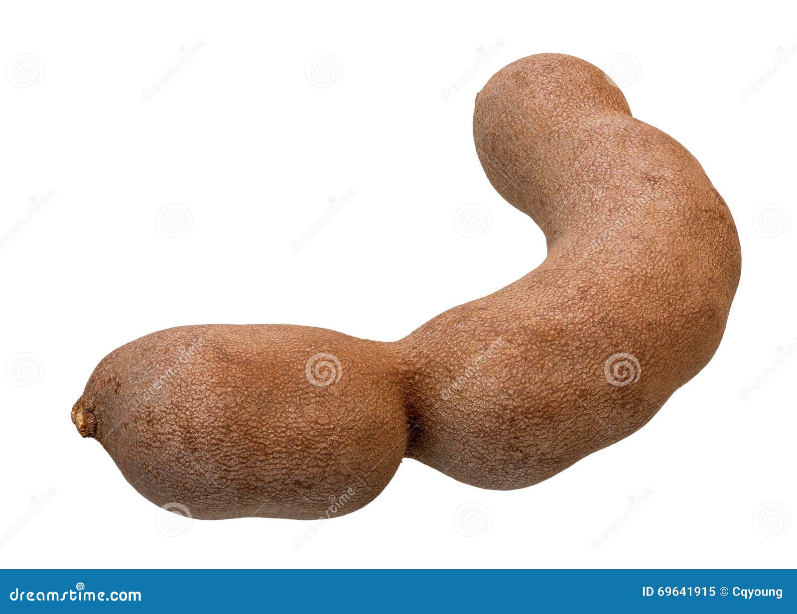 Dried Tamarind Fruit stock image. Image of sweet, isolated - 69641915