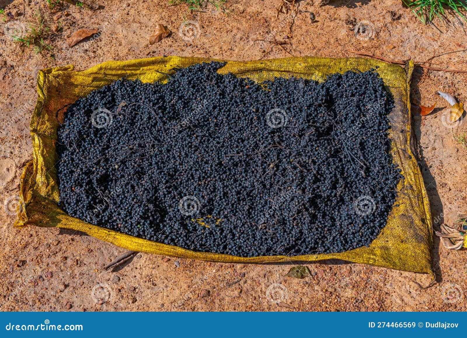 Dried tea leaves on ground stock image. Image of food - 274466569