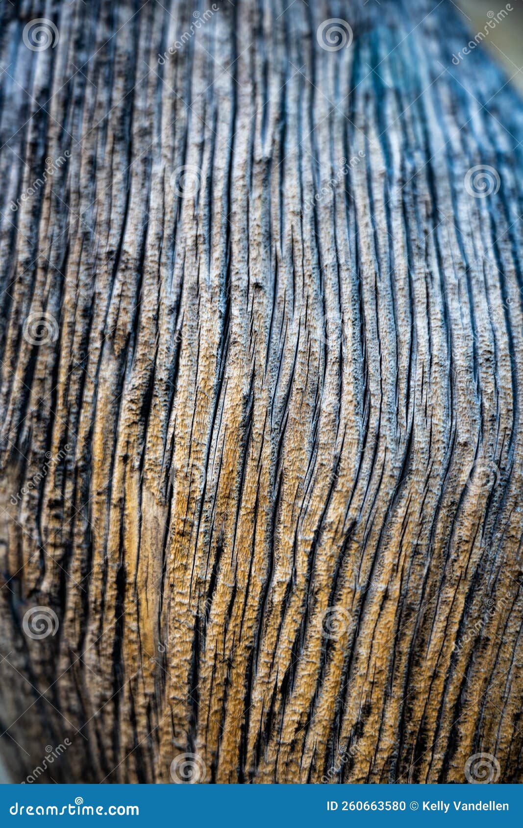 Dried Tree Bark Texture stock photo. Image of bryce - 260663580