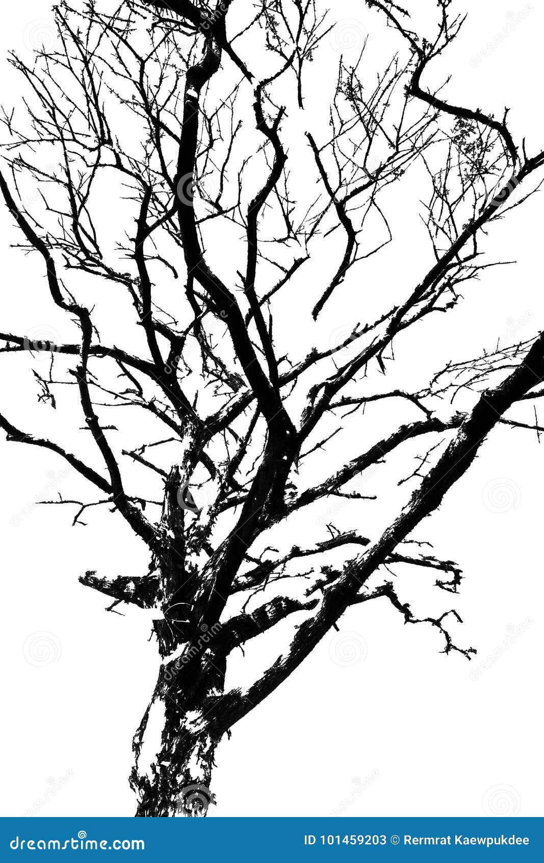 Dried tree of art. stock image. Image of support, union - 101459203