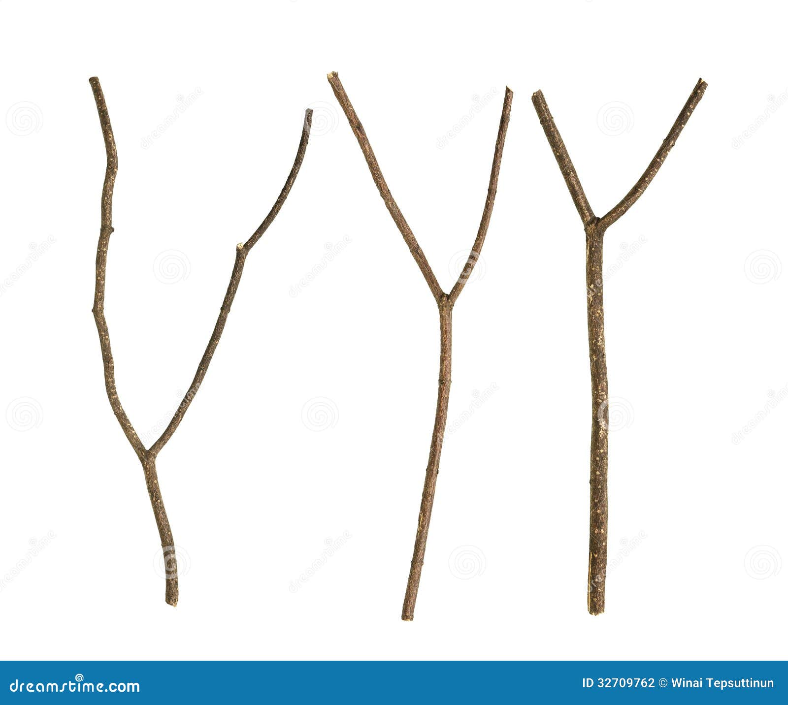 Dried tree branch stock photo. Image of nature, branch - 32709762