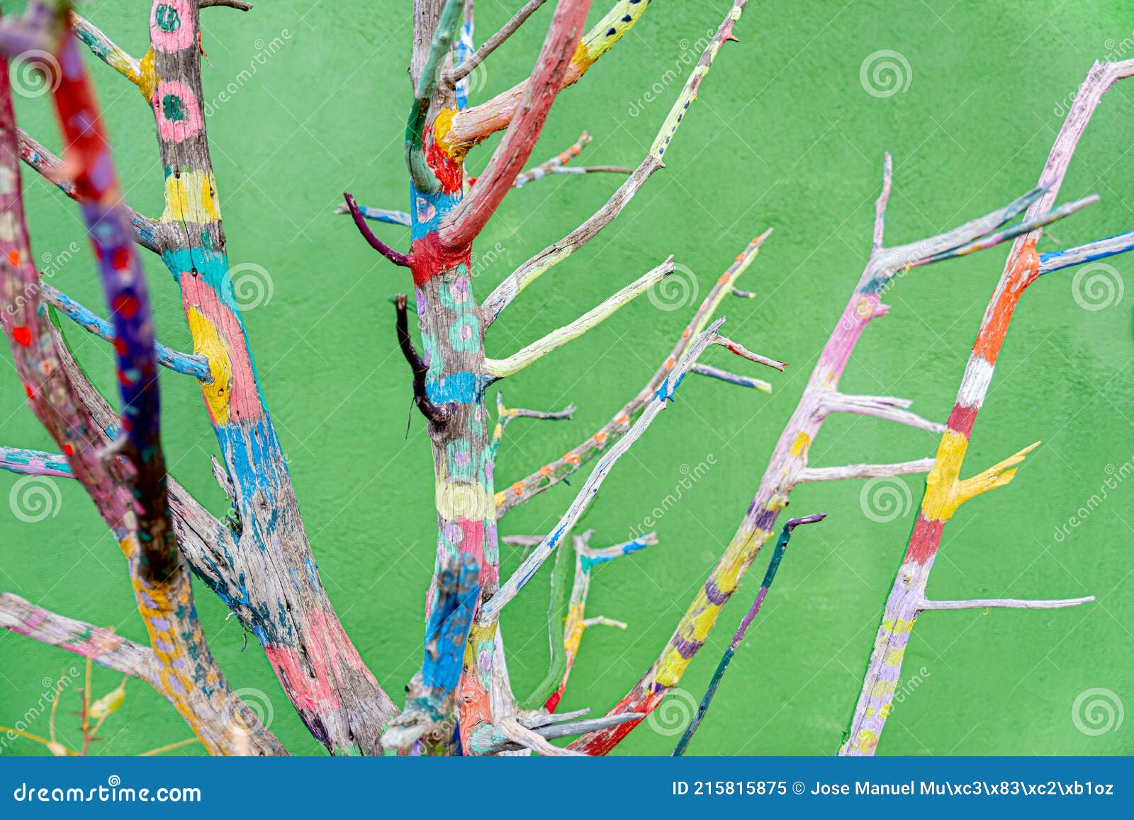 Dried Tree of Different Colours Stock Image - Image of outdoors, color ...