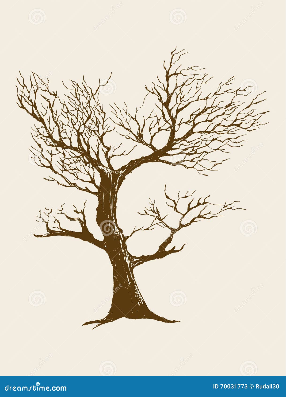 Dried Tree stock vector. Illustration of drawing, tree - 70031773