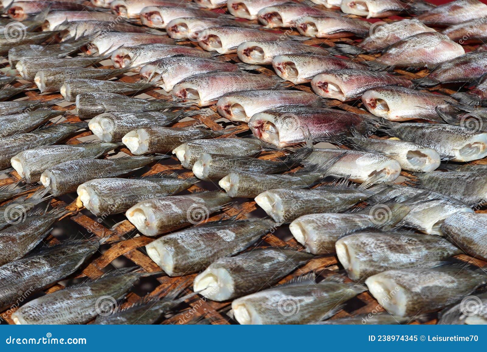 Dried Trichogaster Pectoralis Fish , Sun Dried Fish Royalty-Free Stock ...