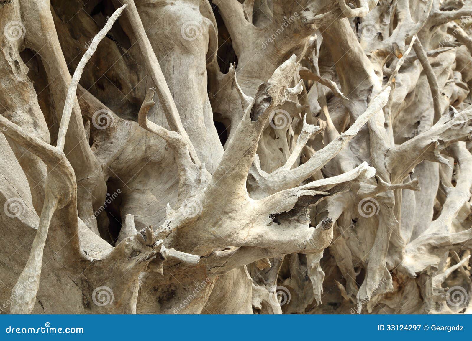 Dried Twigs and Branches Striped Wood Stock Image - Image of dirty ...