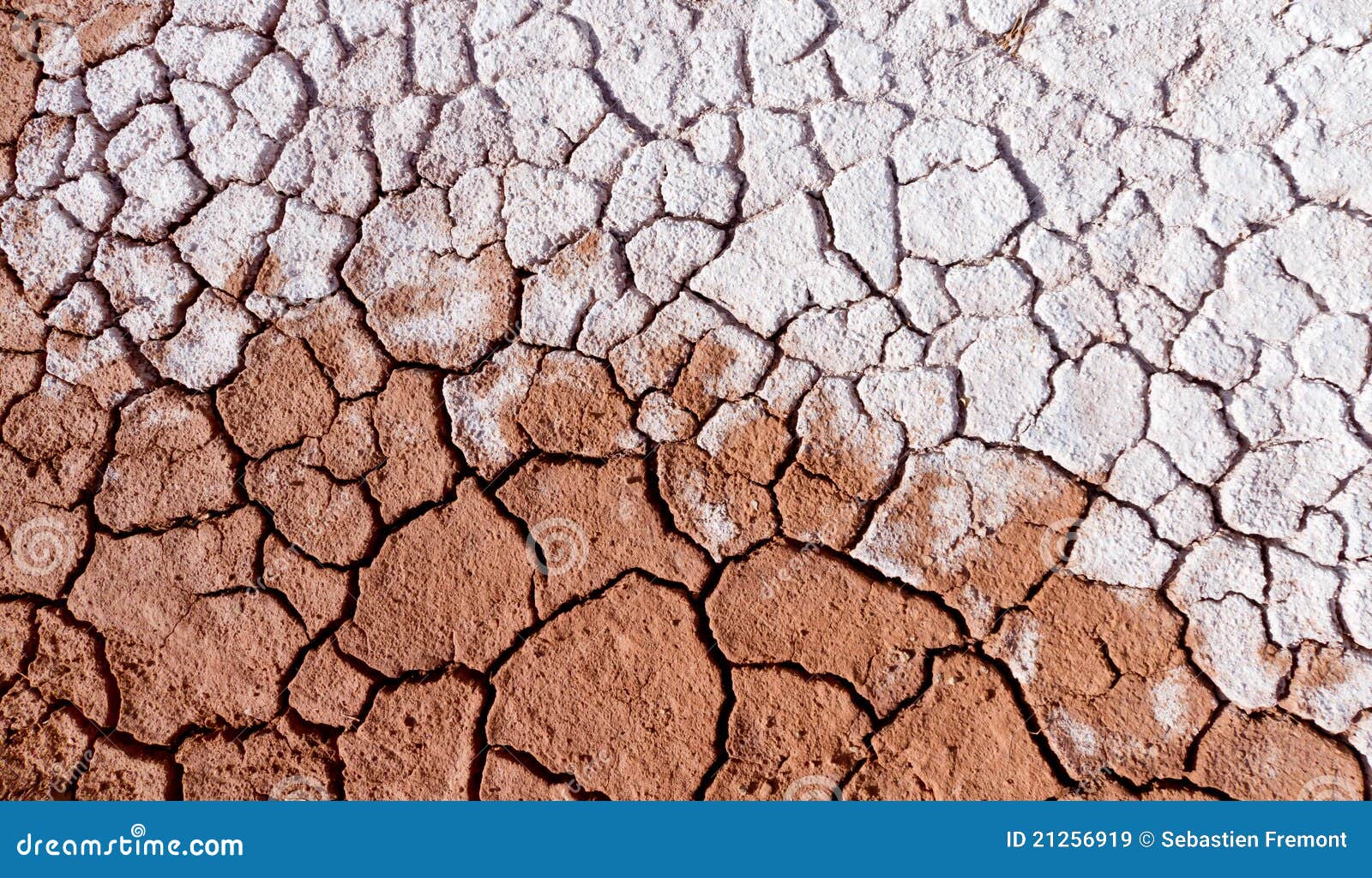 Dried Up stock image. Image of white, salt, earth, heat - 21256919