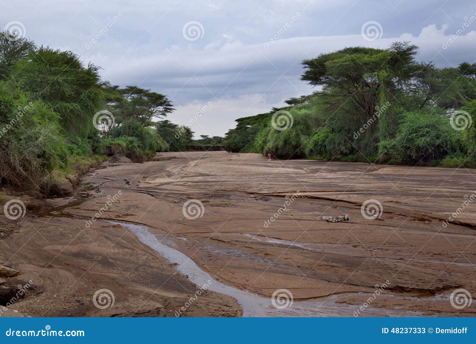 African River Royalty-Free Stock Image | CartoonDealer.com #30364060