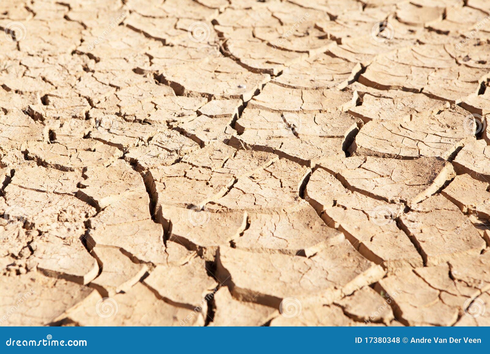 Dried Up and Cracked Mud in Dry Waterhole Stock Photo - Image of ...