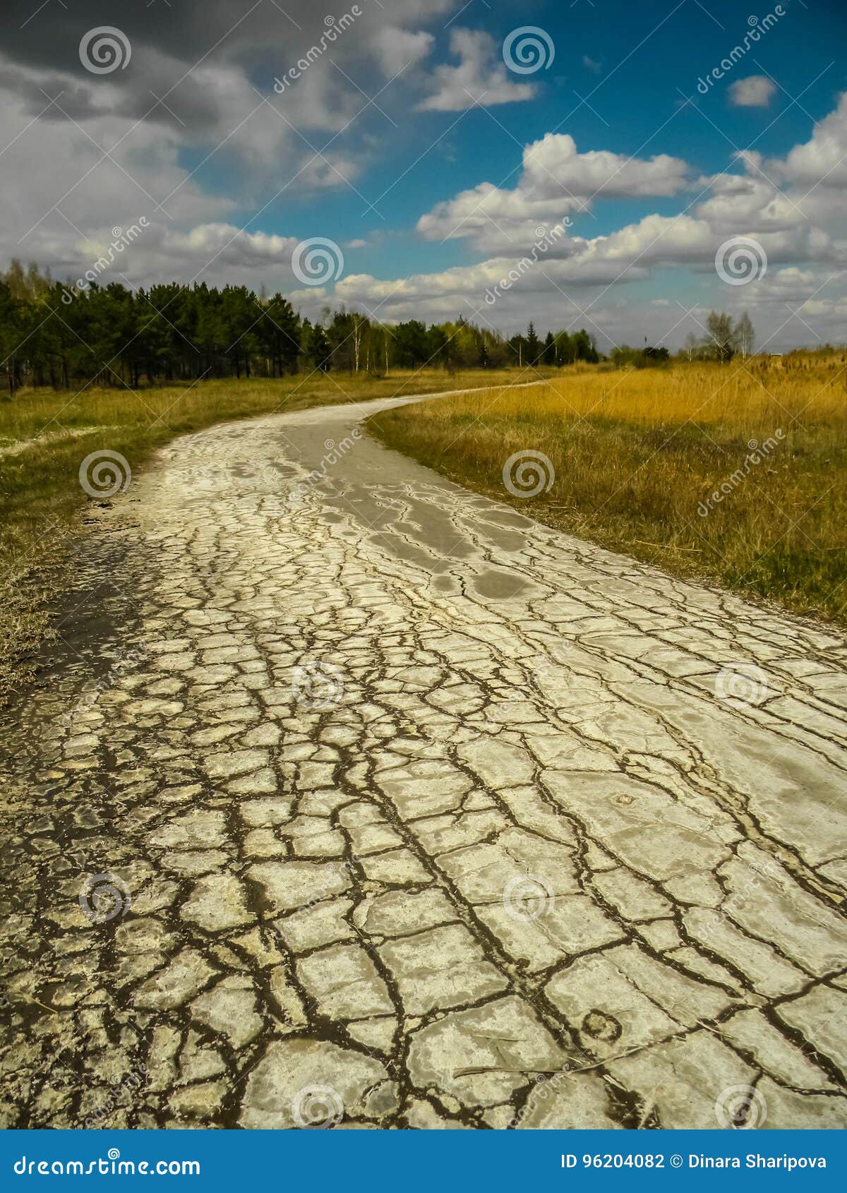 Dried Up from a Drought Road, a Path To the Forest Stock Photo - Image ...