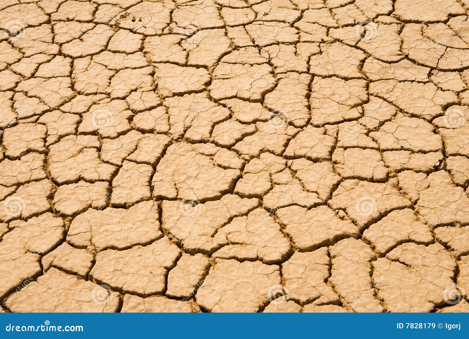 Dried-up ground in desert stock image. Image of horizontal - 7828179