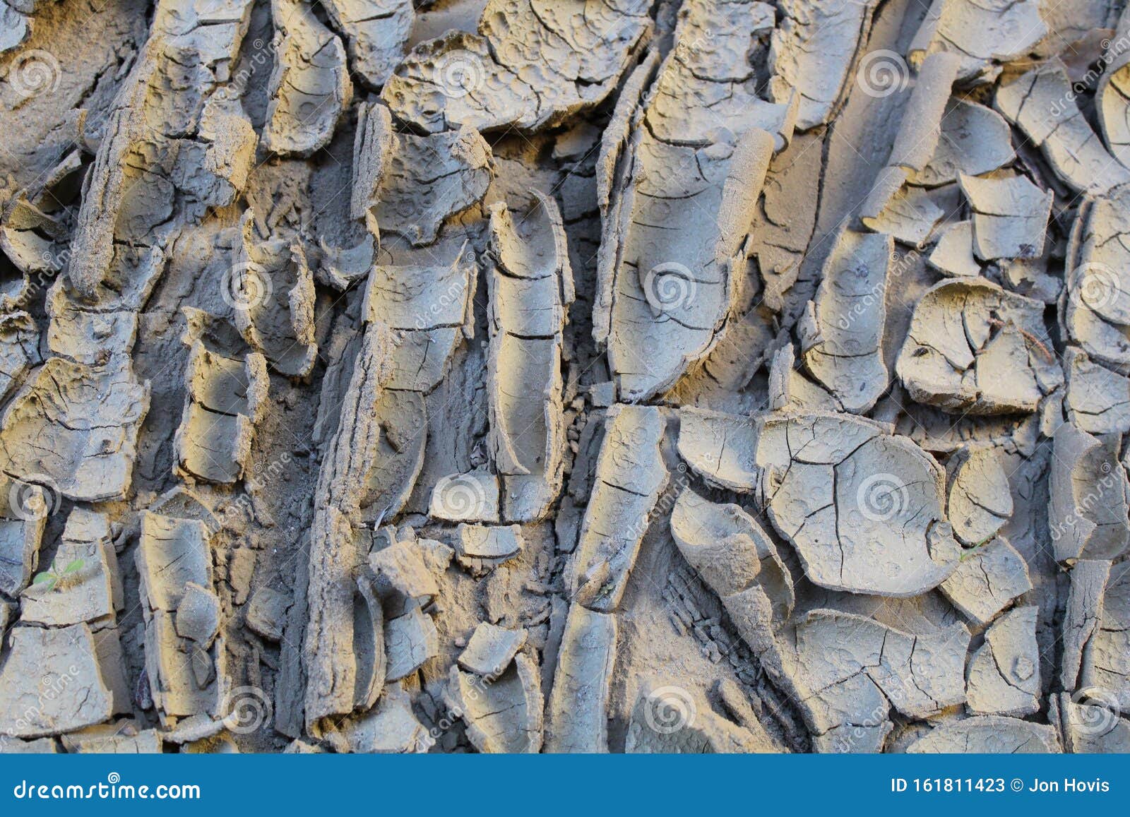 Dried Up Mud Puddle stock image. Image of dried, slot - 161811423