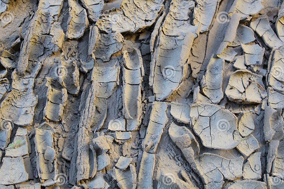 Dried Up Mud Puddle stock image. Image of dried, slot - 161811423