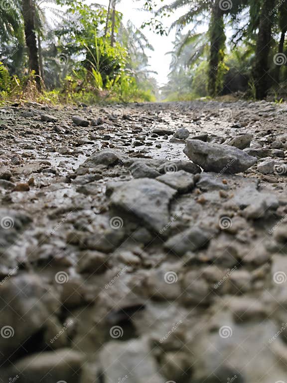 Dried Up Puddle Left with Stones Along the Pathway Stock Photo - Image ...