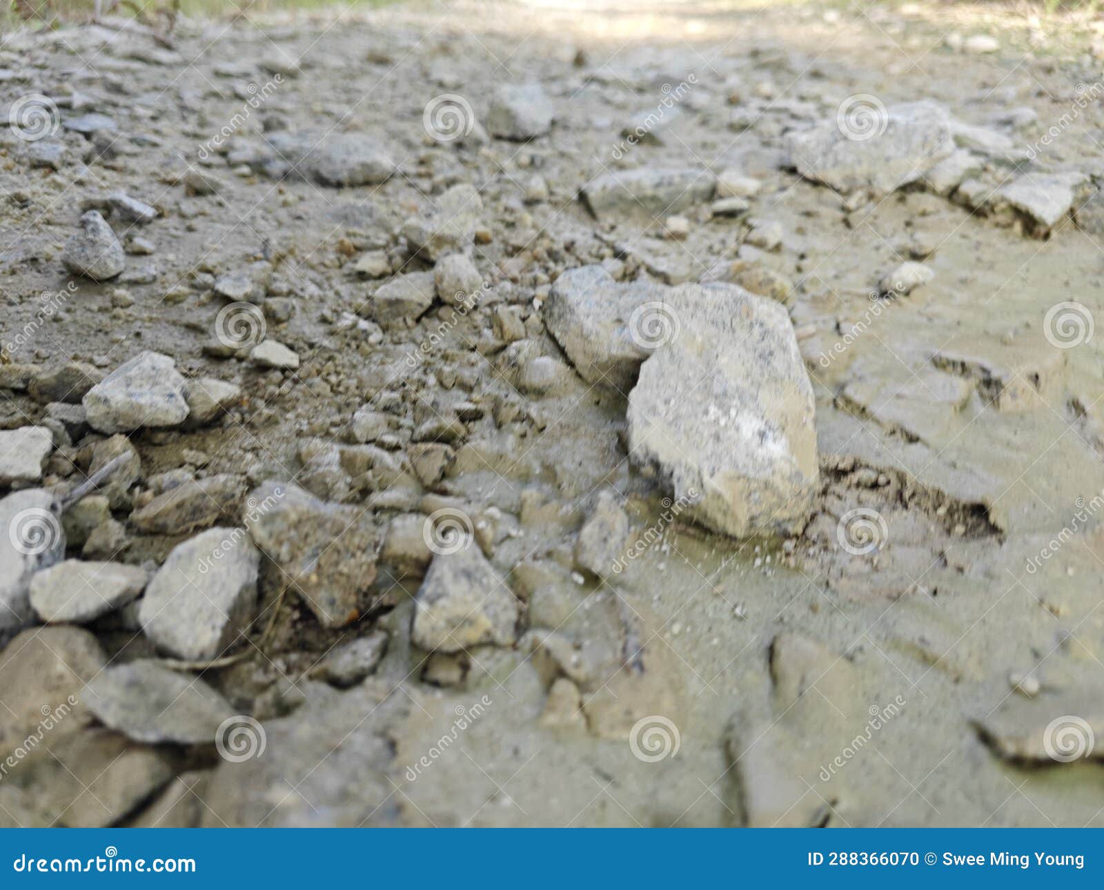 Dried Up Puddle Left with Stones Along the Pathway Stock Photo - Image ...