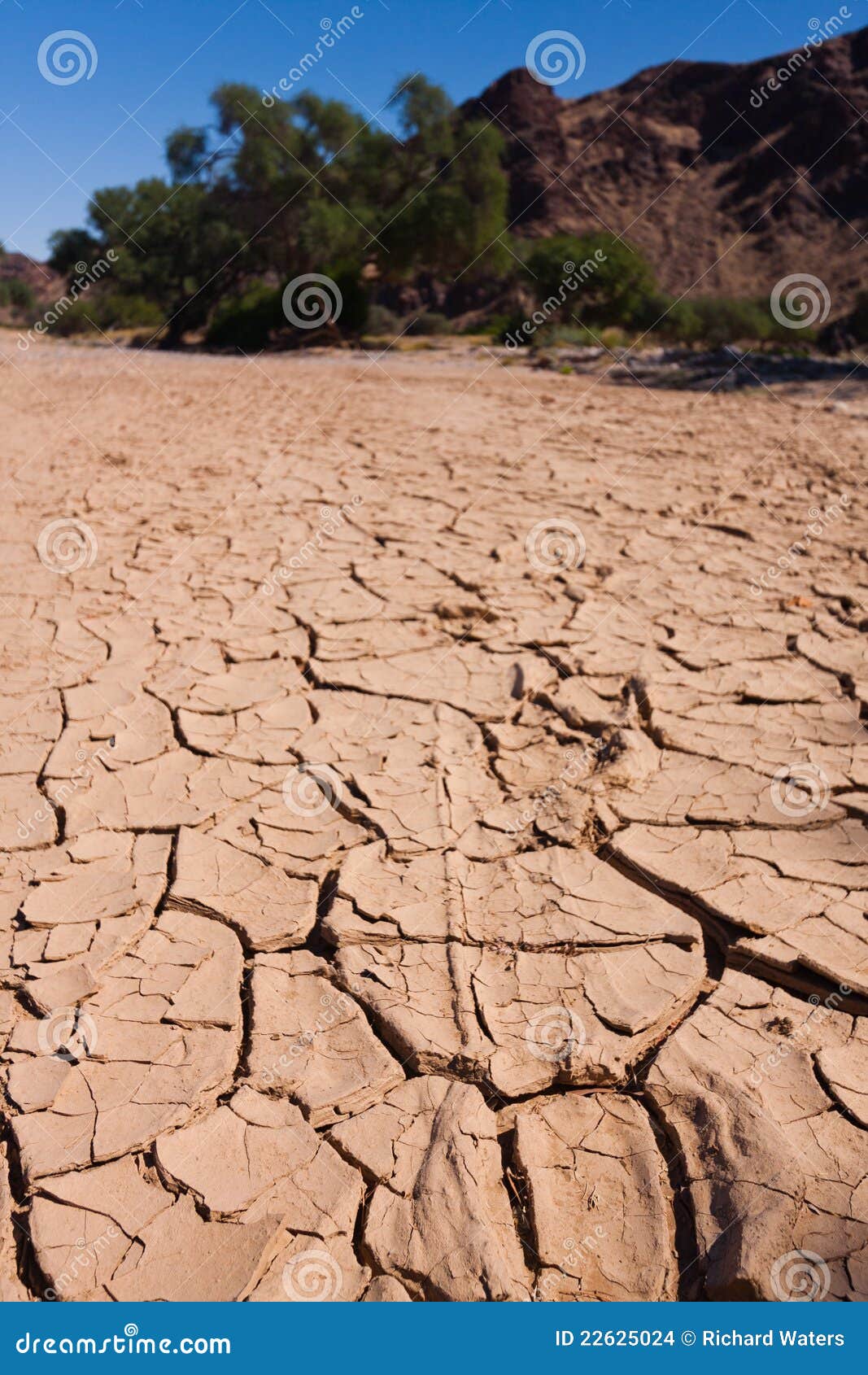 Dried-up River Bed stock photo. Image of desiccation - 22625024