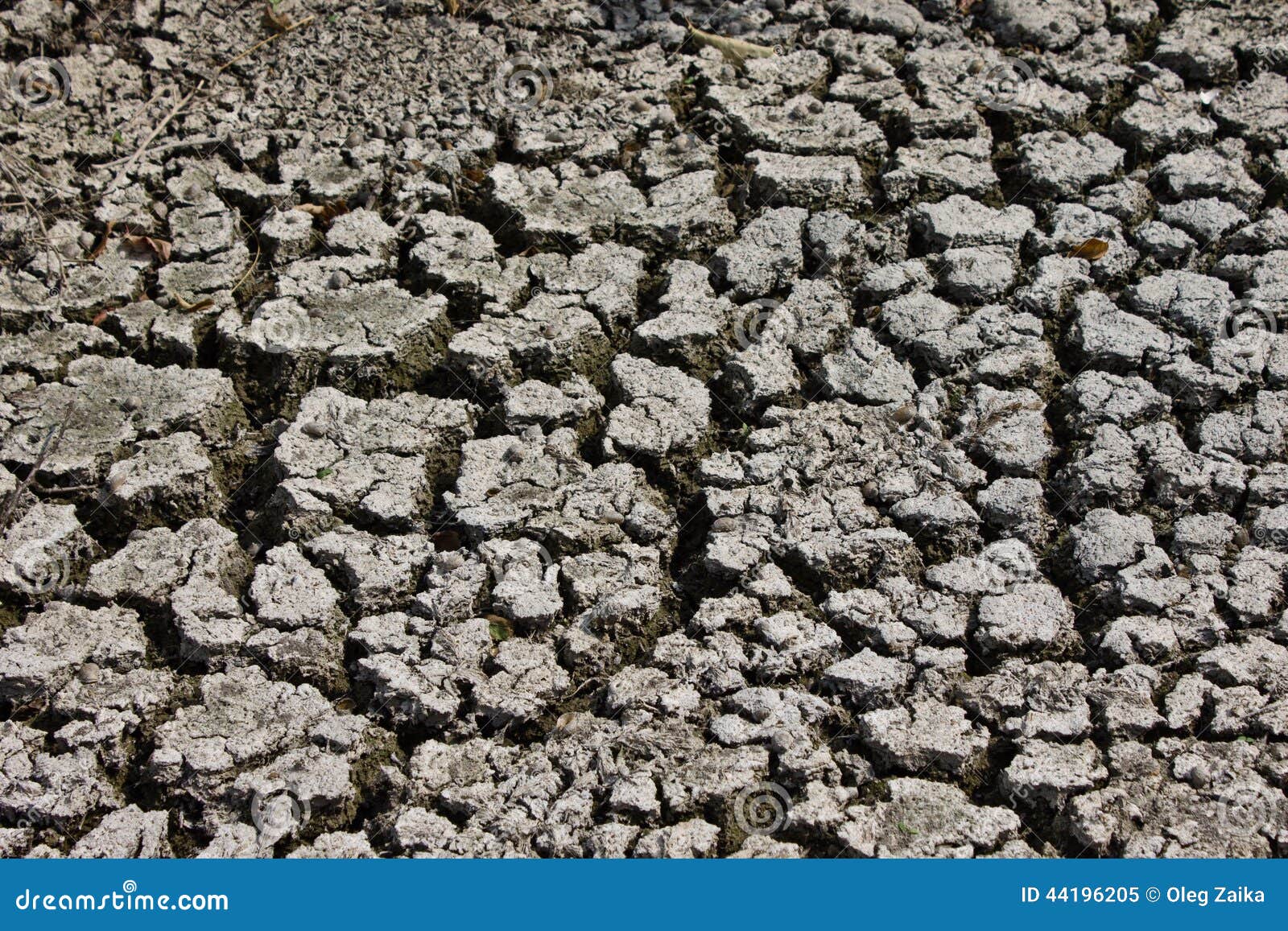 The dried up river bed stock image. Image of nature, bedn - 44196205