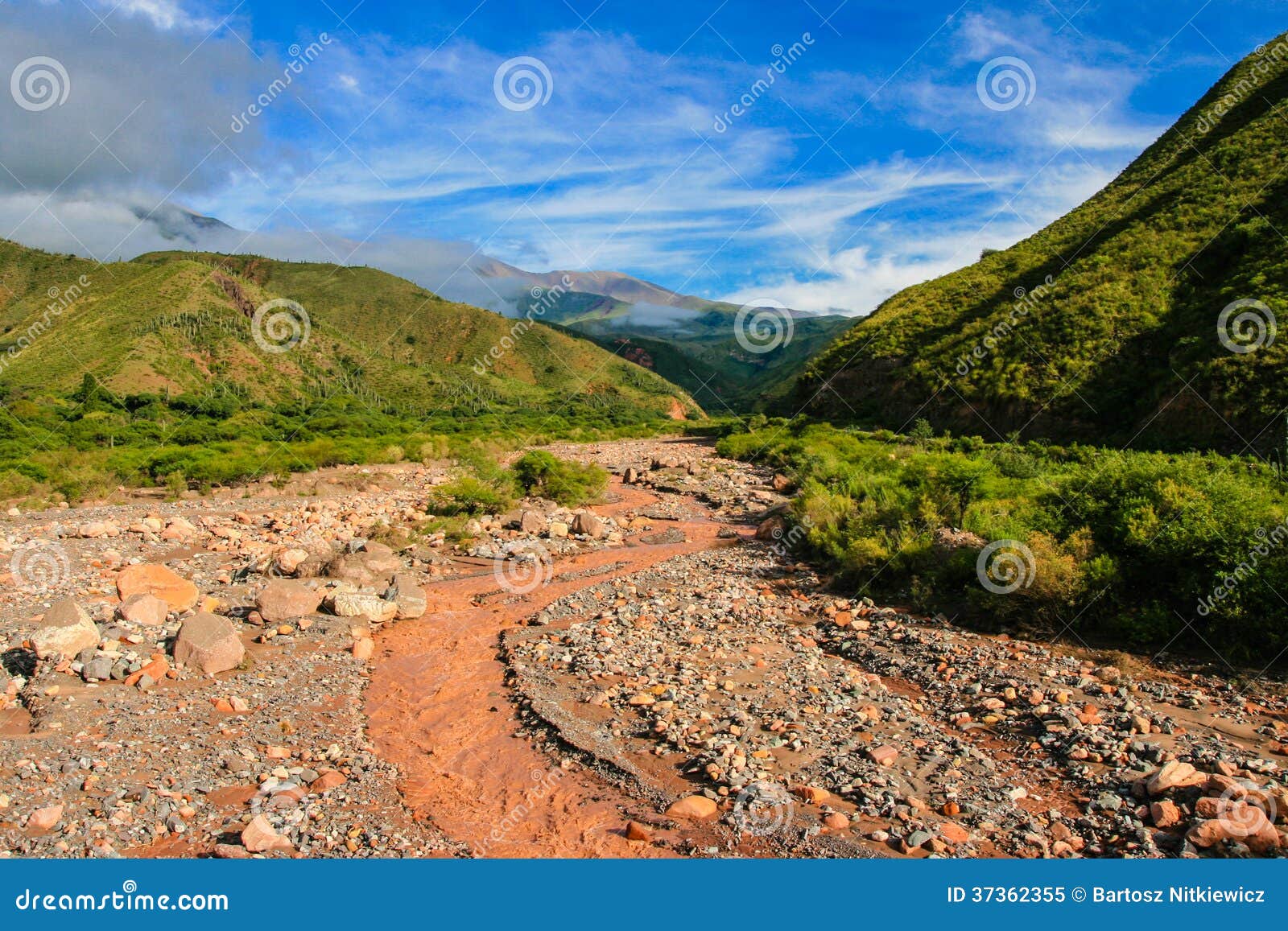 Dried up river stock image. Image of landform, river - 37362355