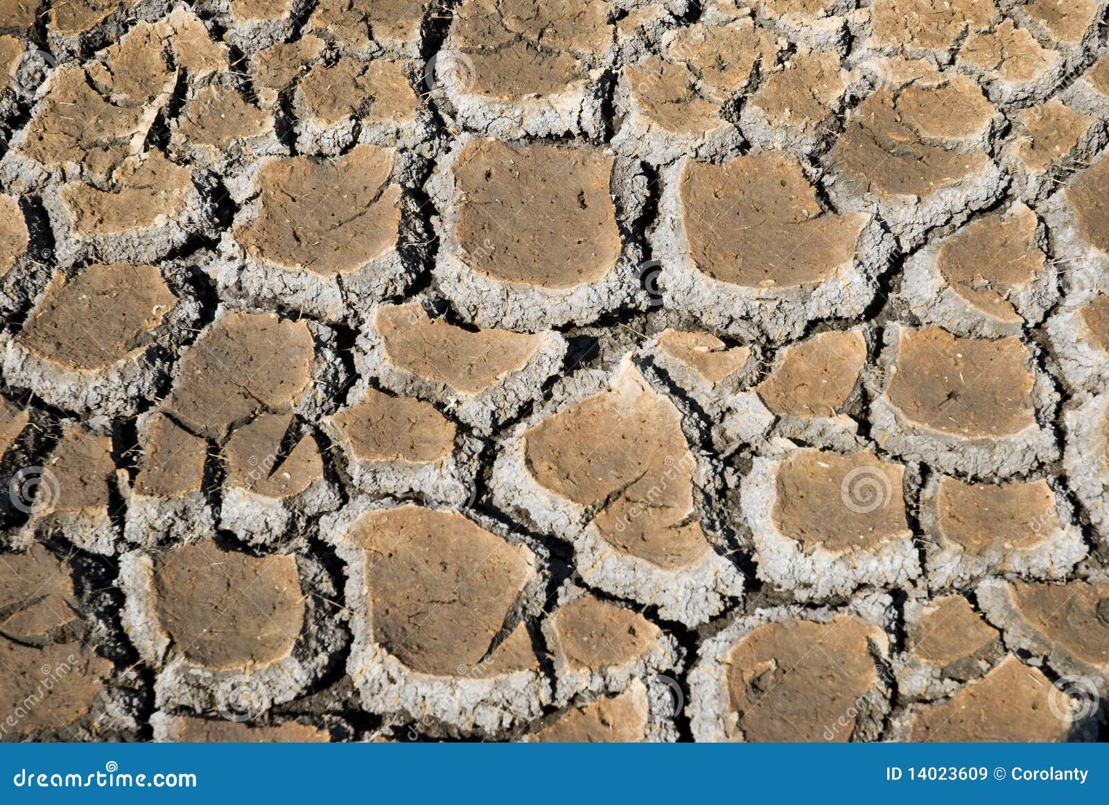Dried up riverbed stock image. Image of evaporated, warming - 14023609