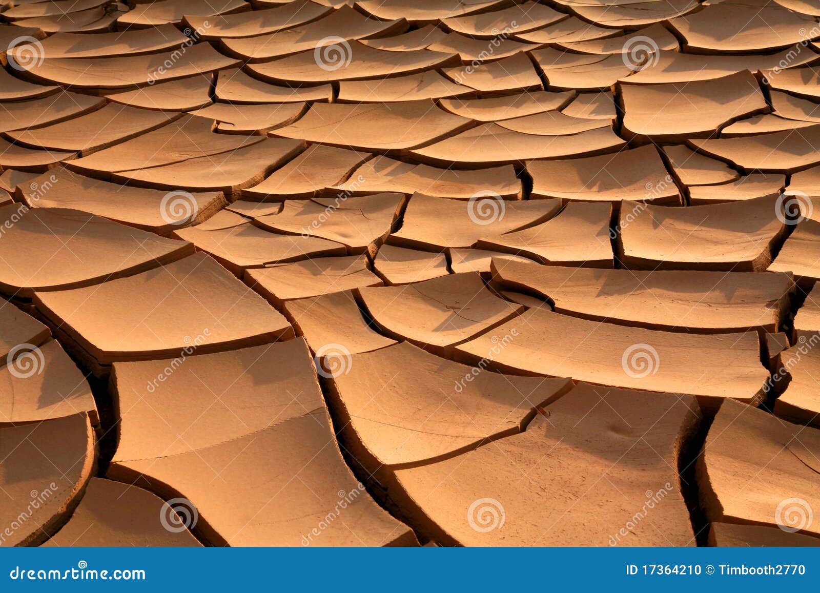 Dried up riverbed close up stock photo. Image of texture - 17364210