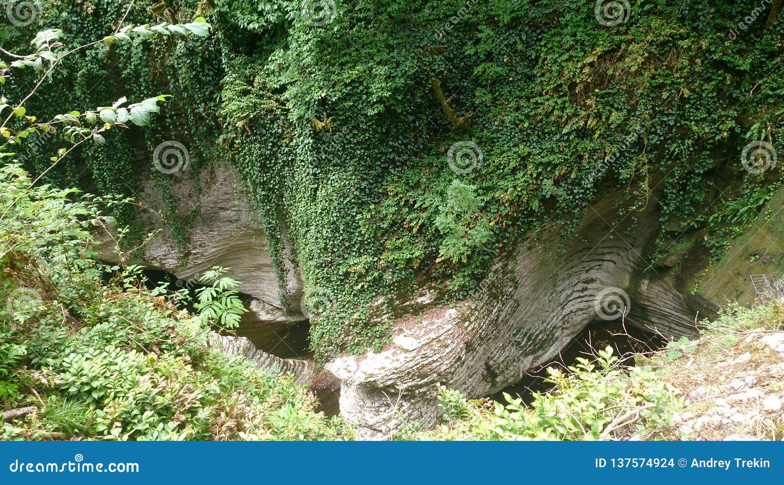 Dried Up Riverbed of a Mountain Stream Stock Photo - Image of greehery ...