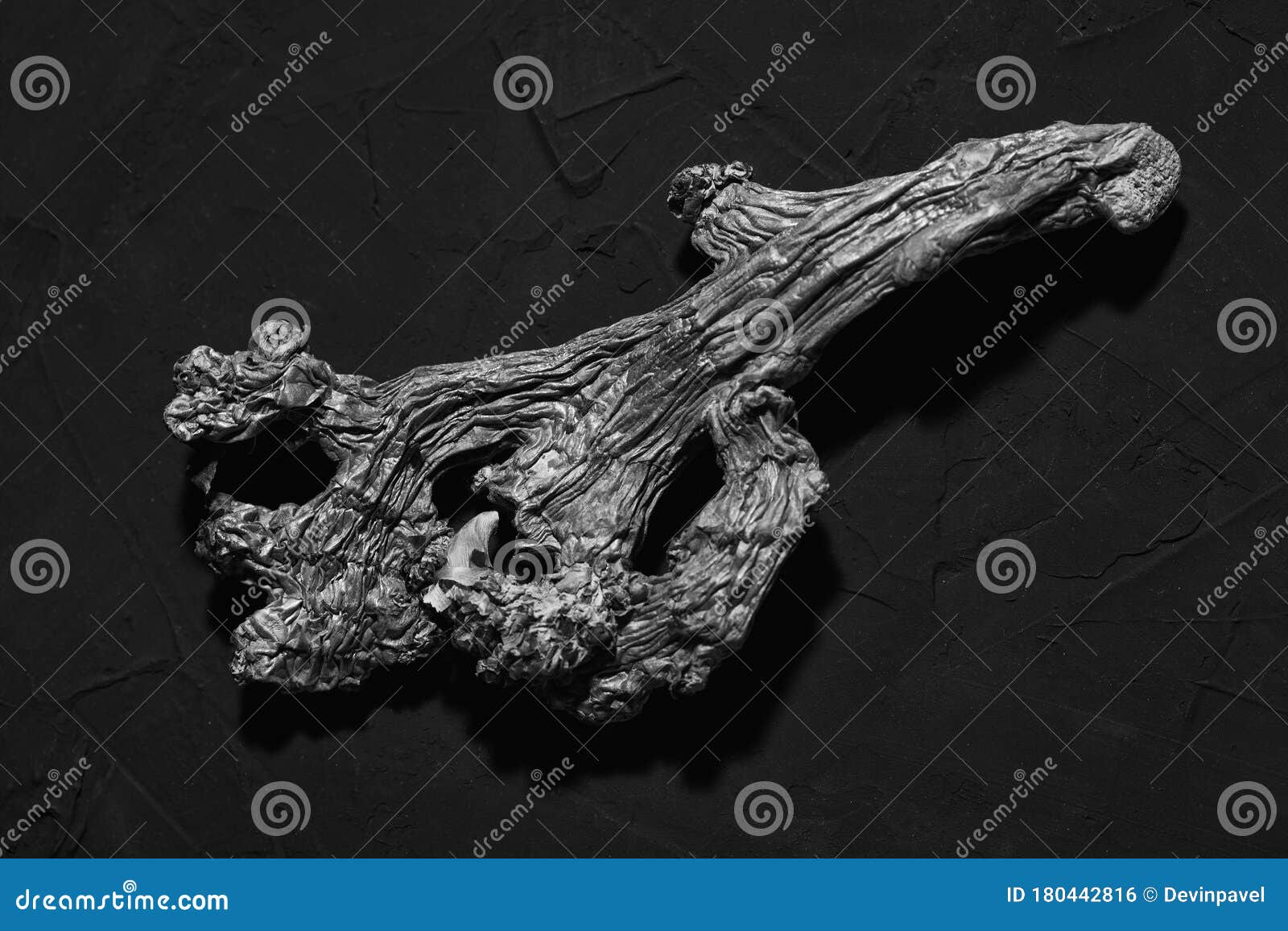 Dried Up Spoiled Ginger Root Stock Photo - Image of herb, macro: 180442816