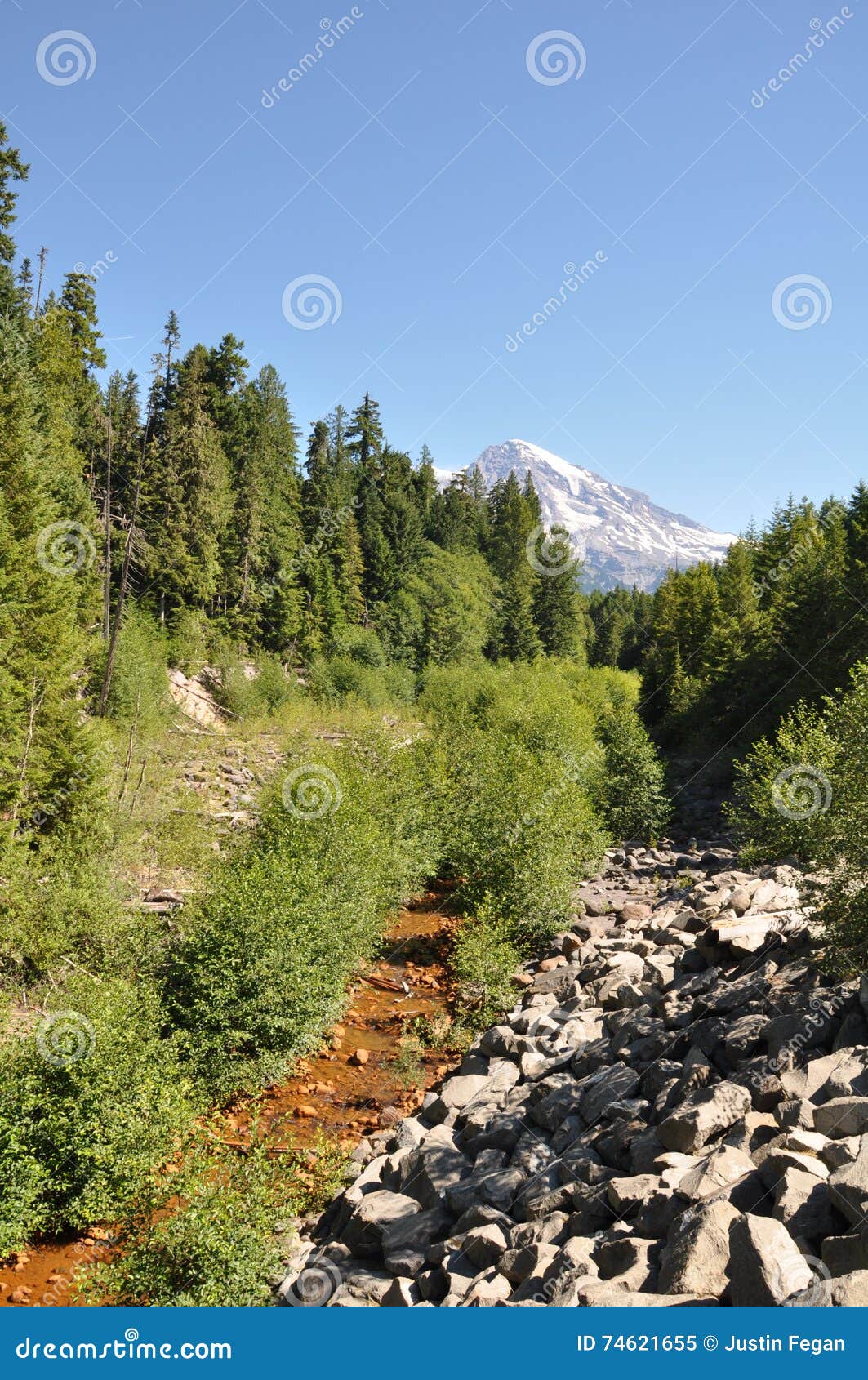 Dried Up Stream Leading To Mount Rainier Stock Image - Image of beauty ...