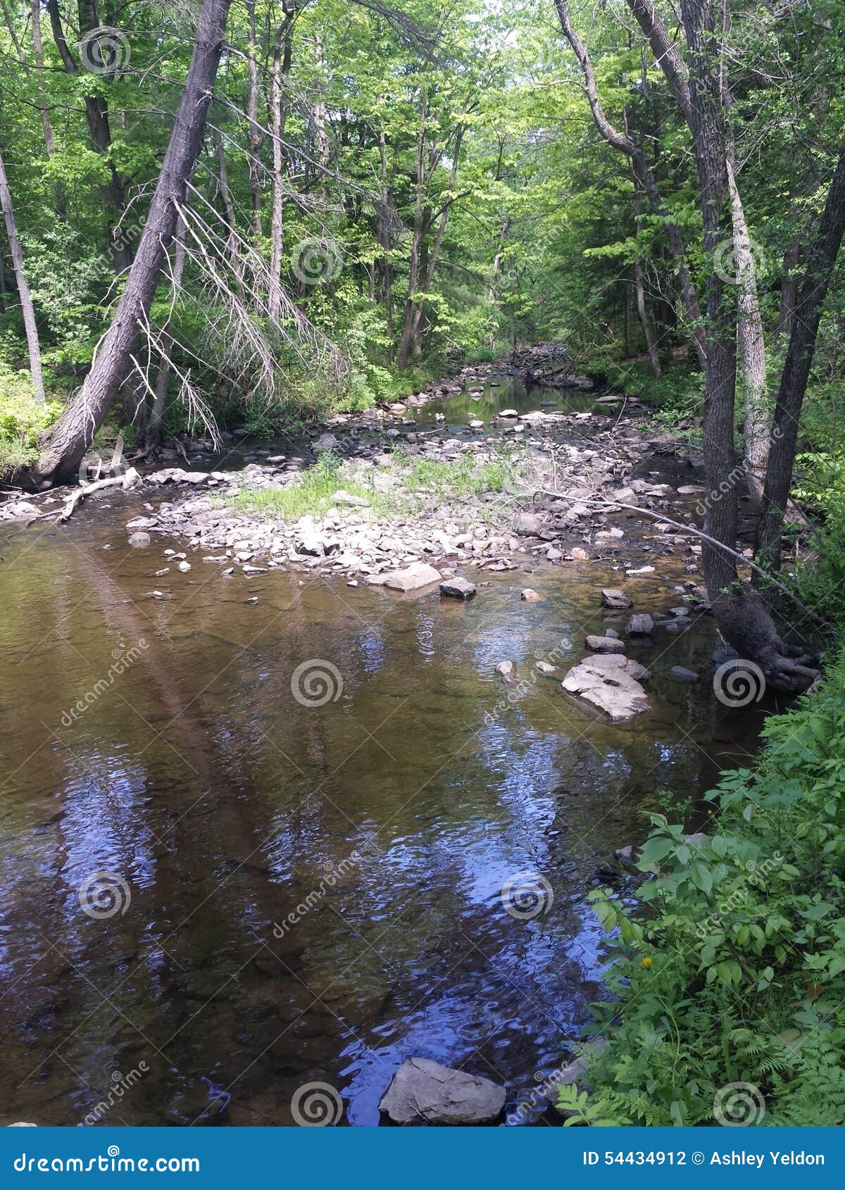 Dried up stream editorial photography. Image of pretty - 54434912