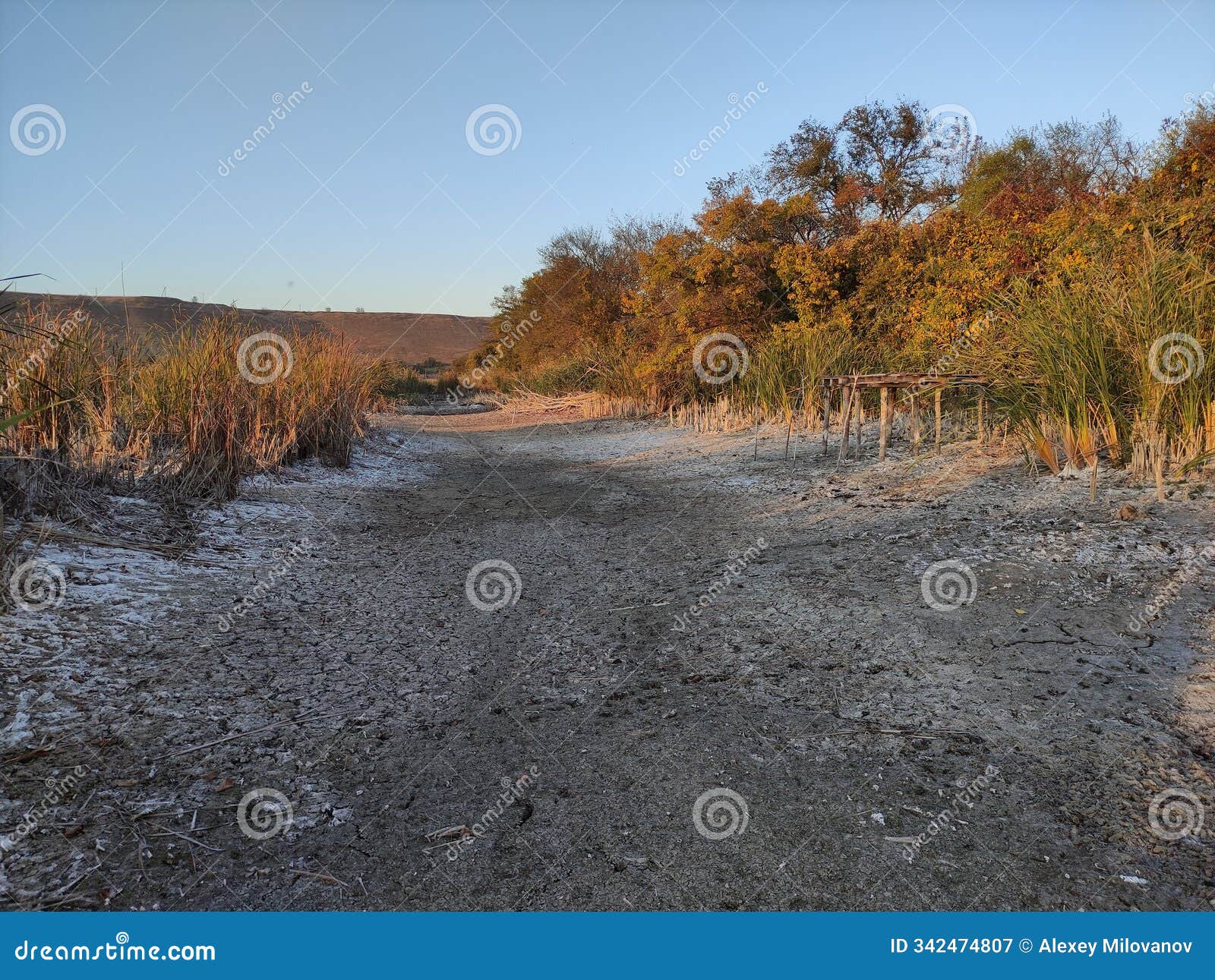 Dried Up Swamp with Mountains in the Background Stock Image - Image of ...