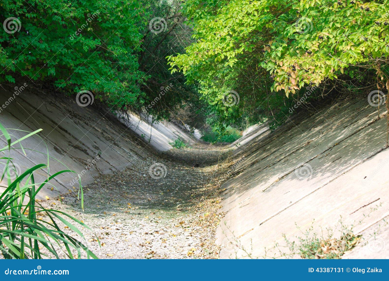 Dried Up the Water of the Canal. Stock Image - Image of strait, trees ...