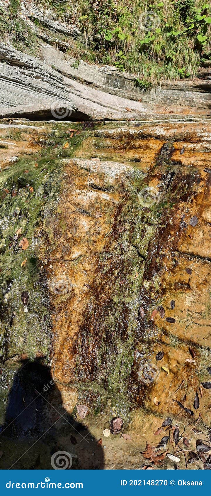 Dried Up Waterfall it& X27;s Sad Stock Photo - Image of wilderness ...