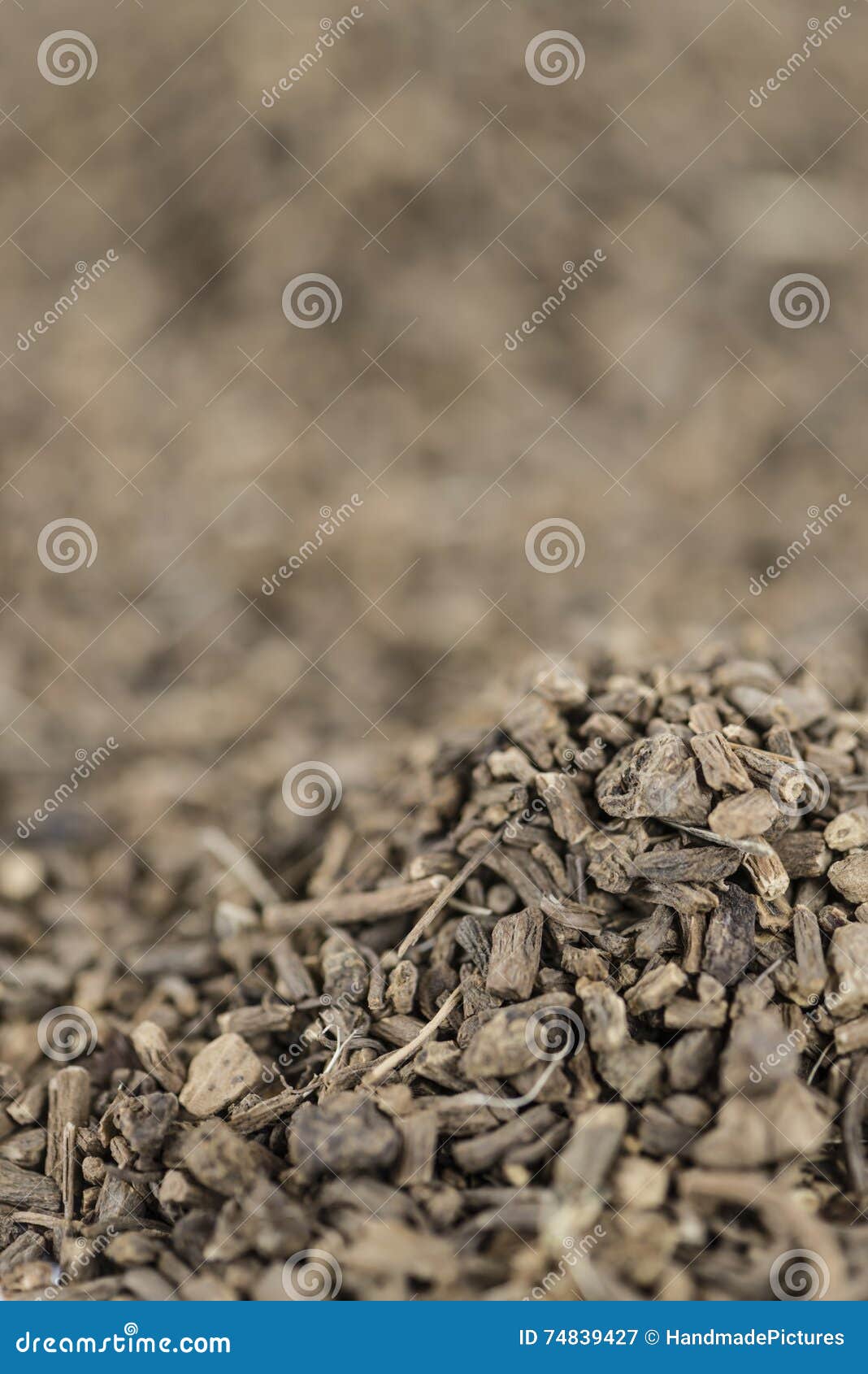 Dried Valerian Roots As Background Image or As Texture Stock Image ...
