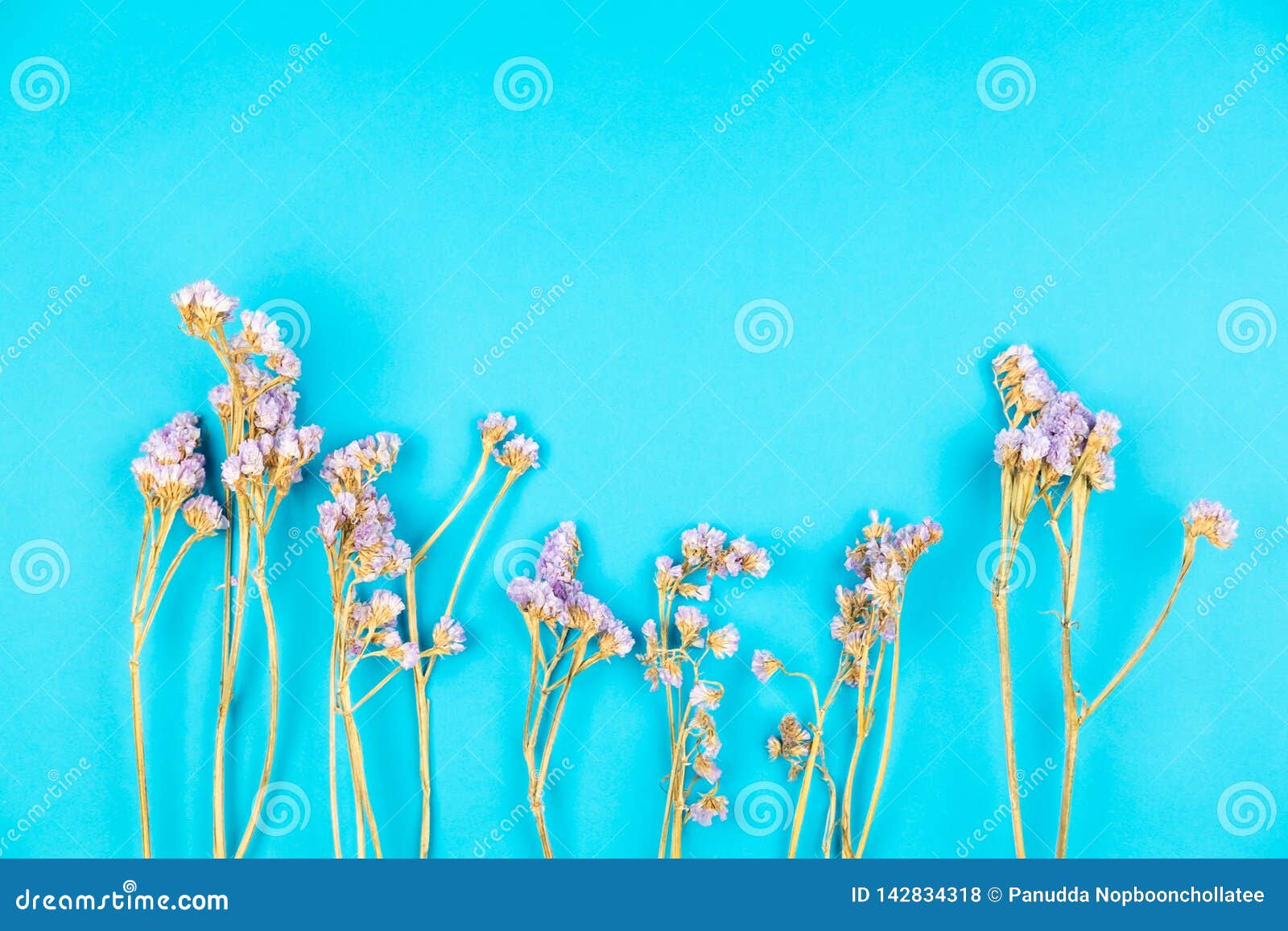Dried Violet Statice Flower on Light Blue Background Stock Photo ...