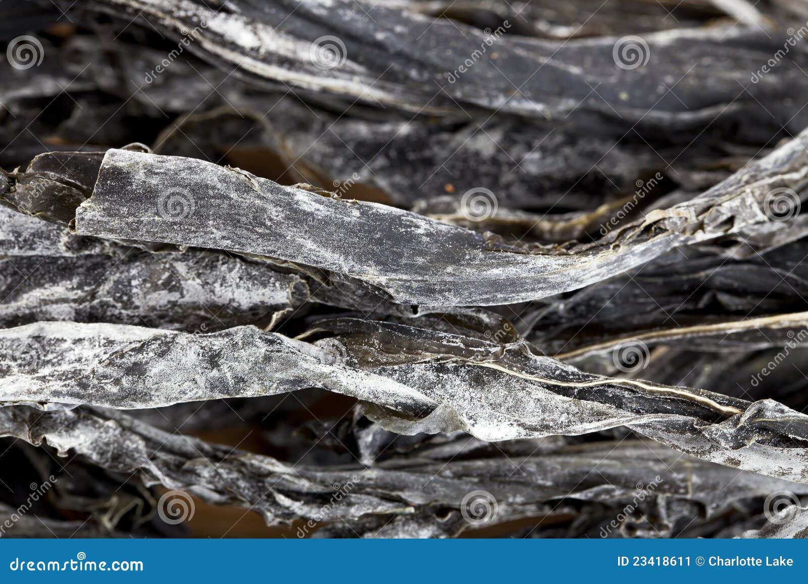Dried Wakame stock image. Image of food, vegetarian, seaweed - 23418611