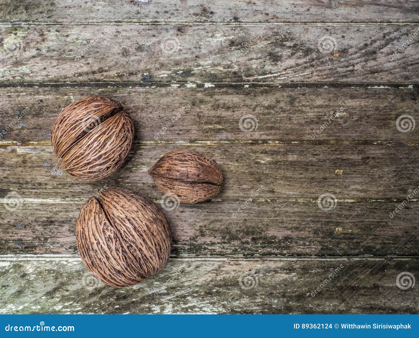 These Dried Walnut Fruits Had Hard Shells with Wooden As Background ...