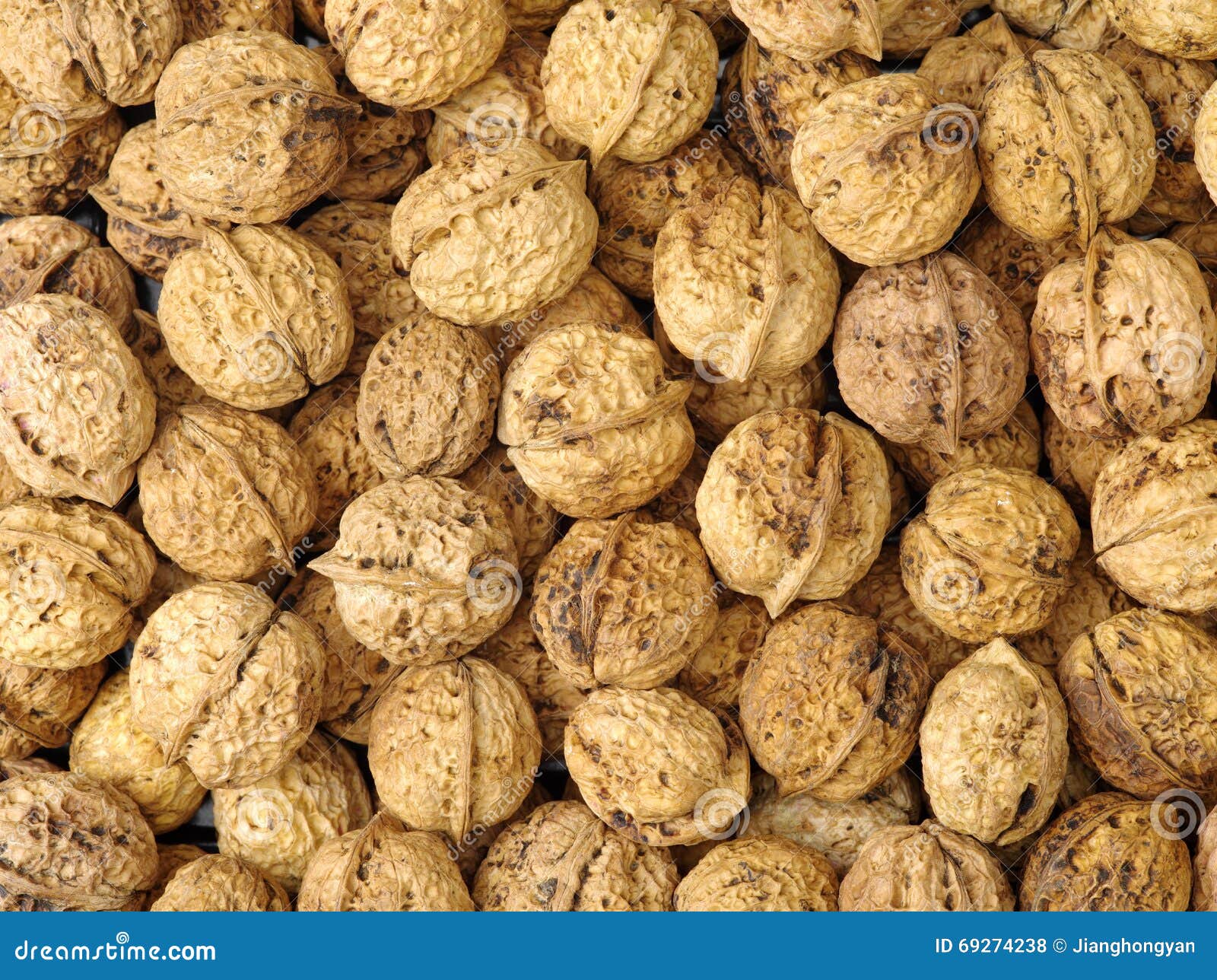 Dried walnut stock photo. Image of shelled, organic, objects - 69274238