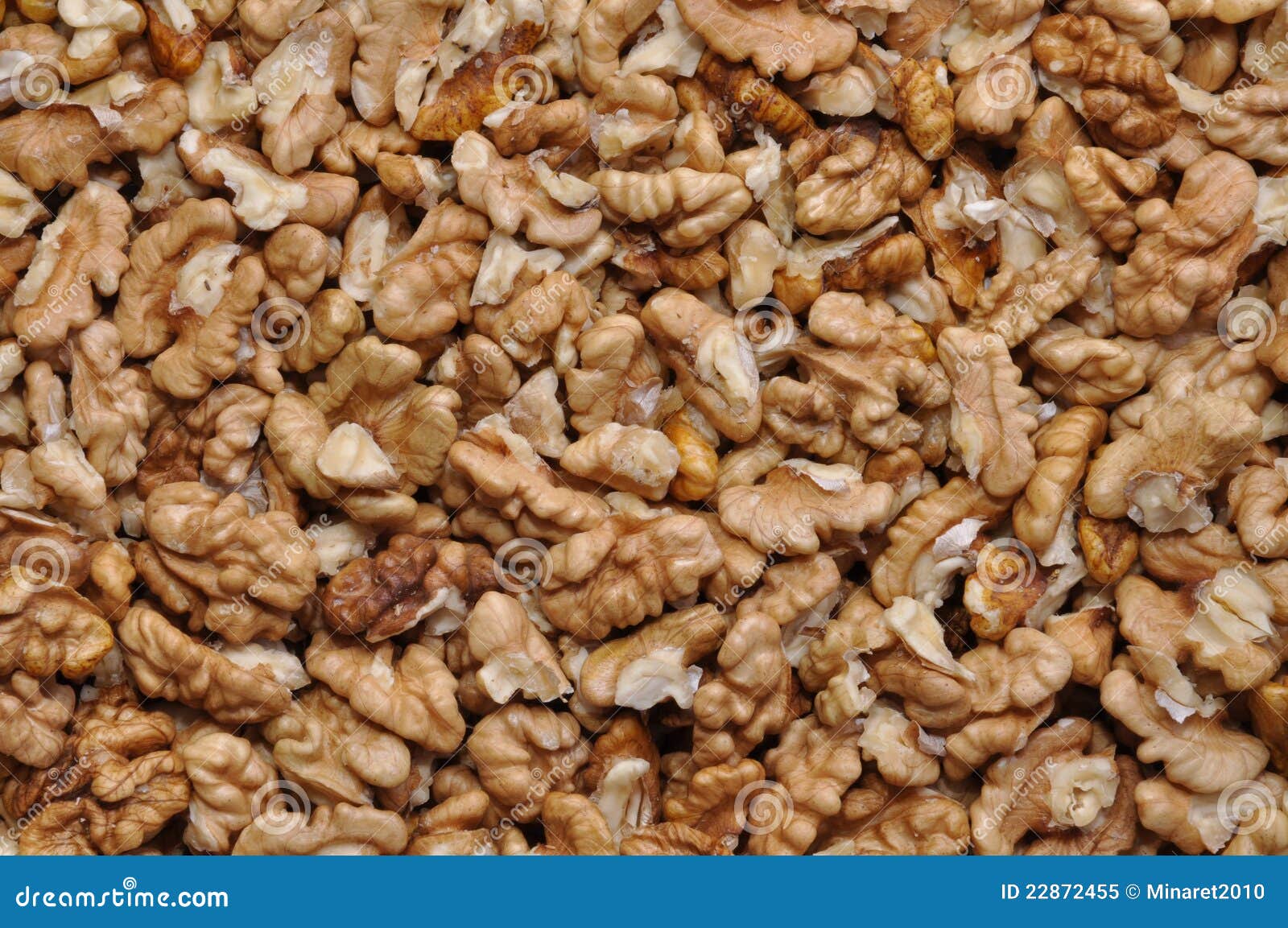 Dried walnuts stock image. Image of organic, brown, notes - 22872455