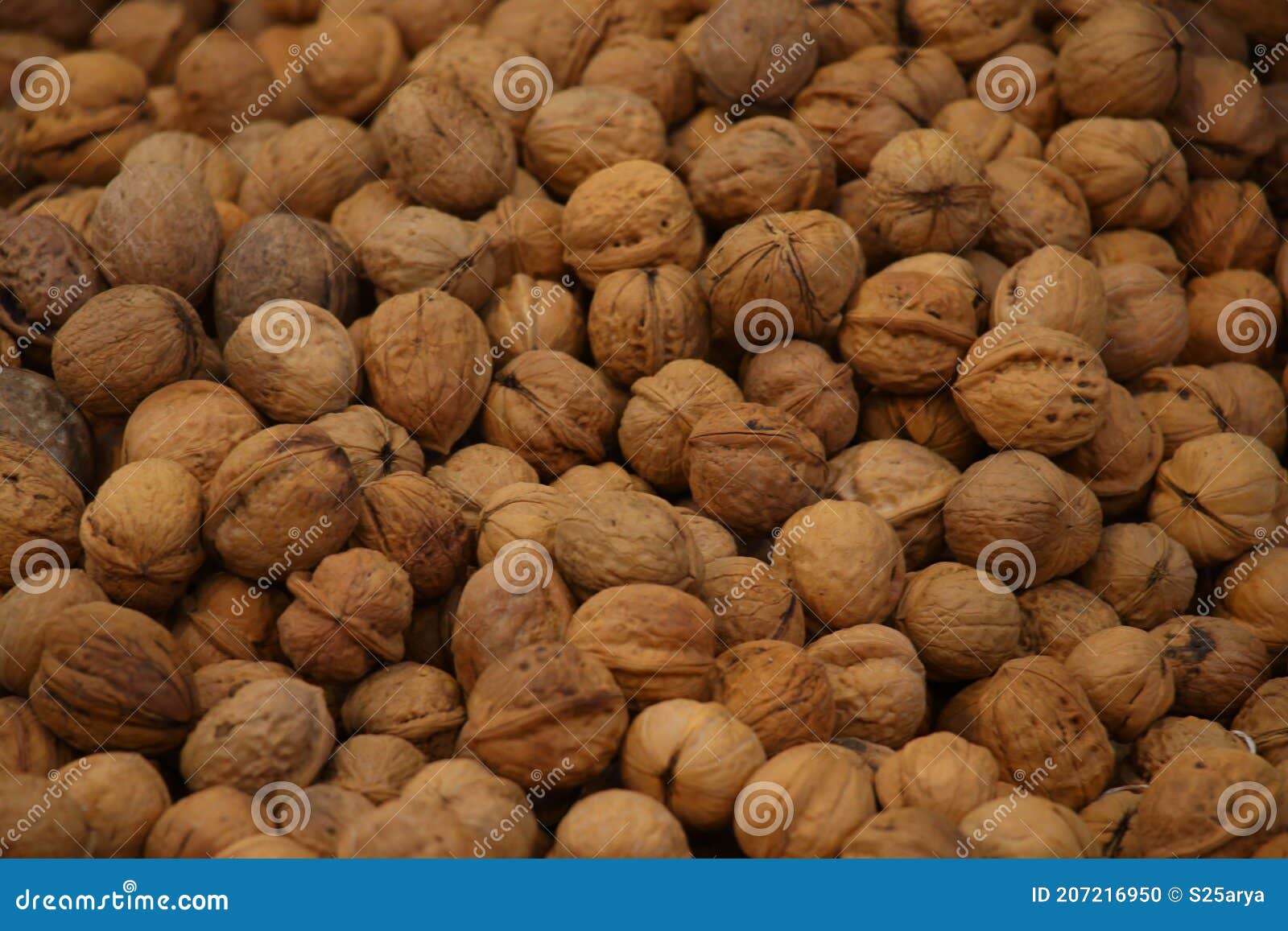 Dried Walnuts in Shell Grouped Stock Photo - Image of group, fractured ...