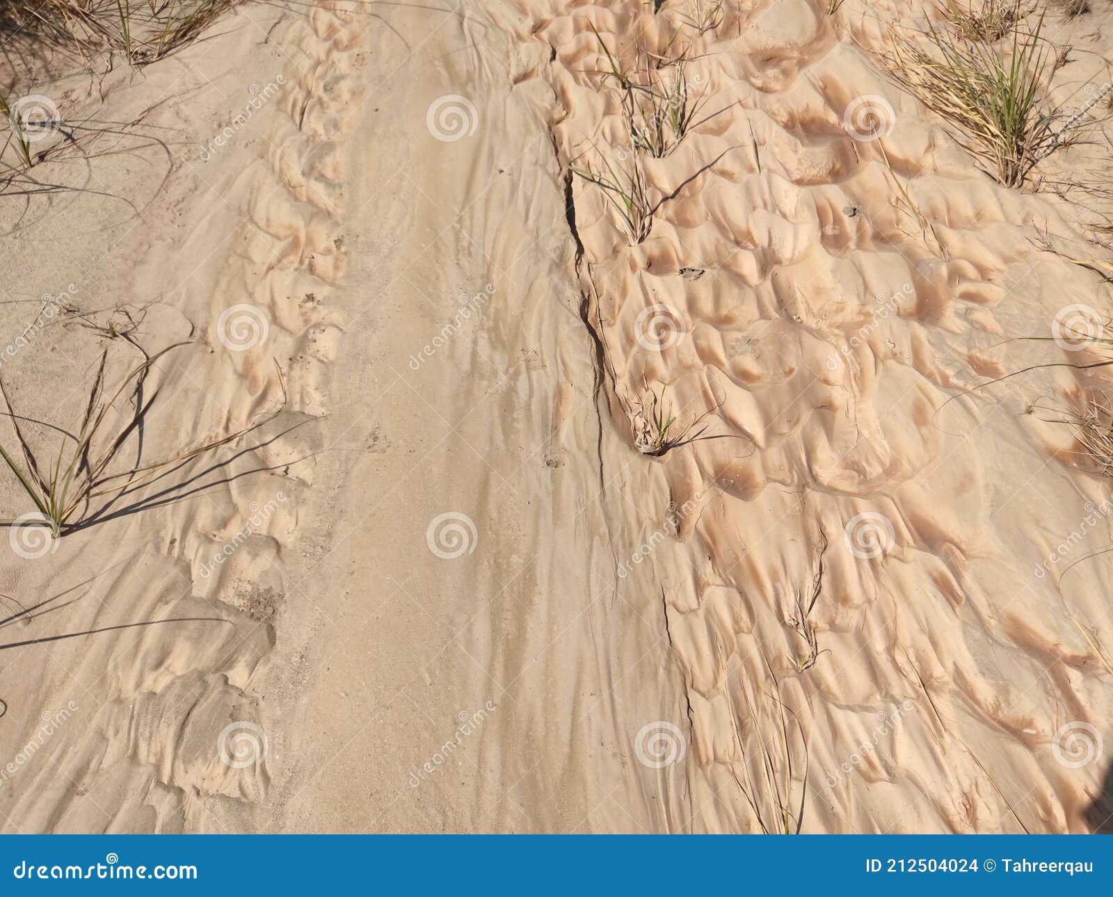 Dried water stream floor stock photo. Image of sand - 212504024