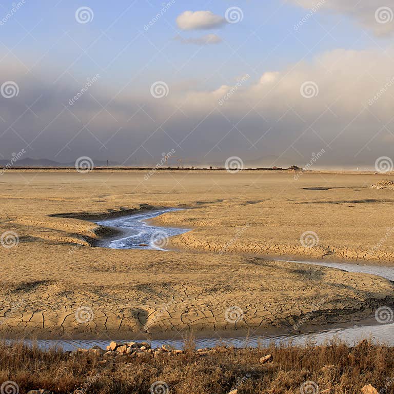 Dried wetland stock photo. Image of nature, river, land - 35302144