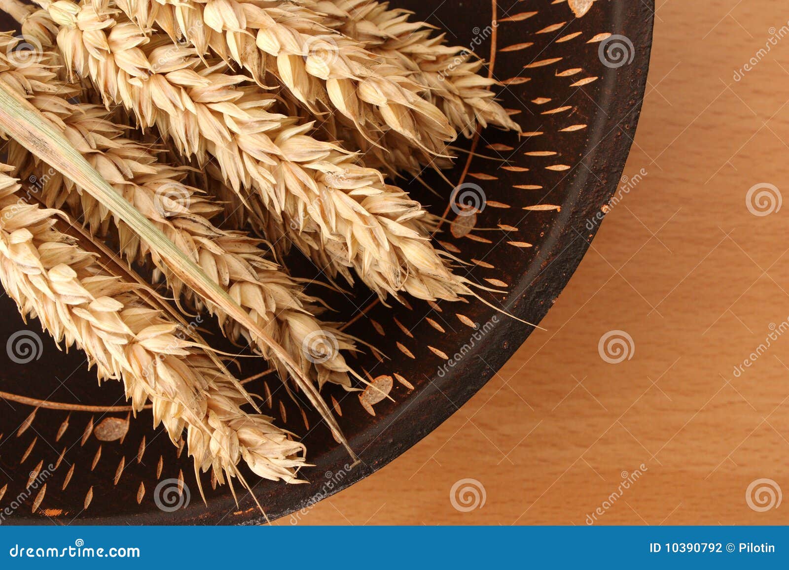 Dried wheat in a bowl stock photo. Image of nature, bowl - 10390792