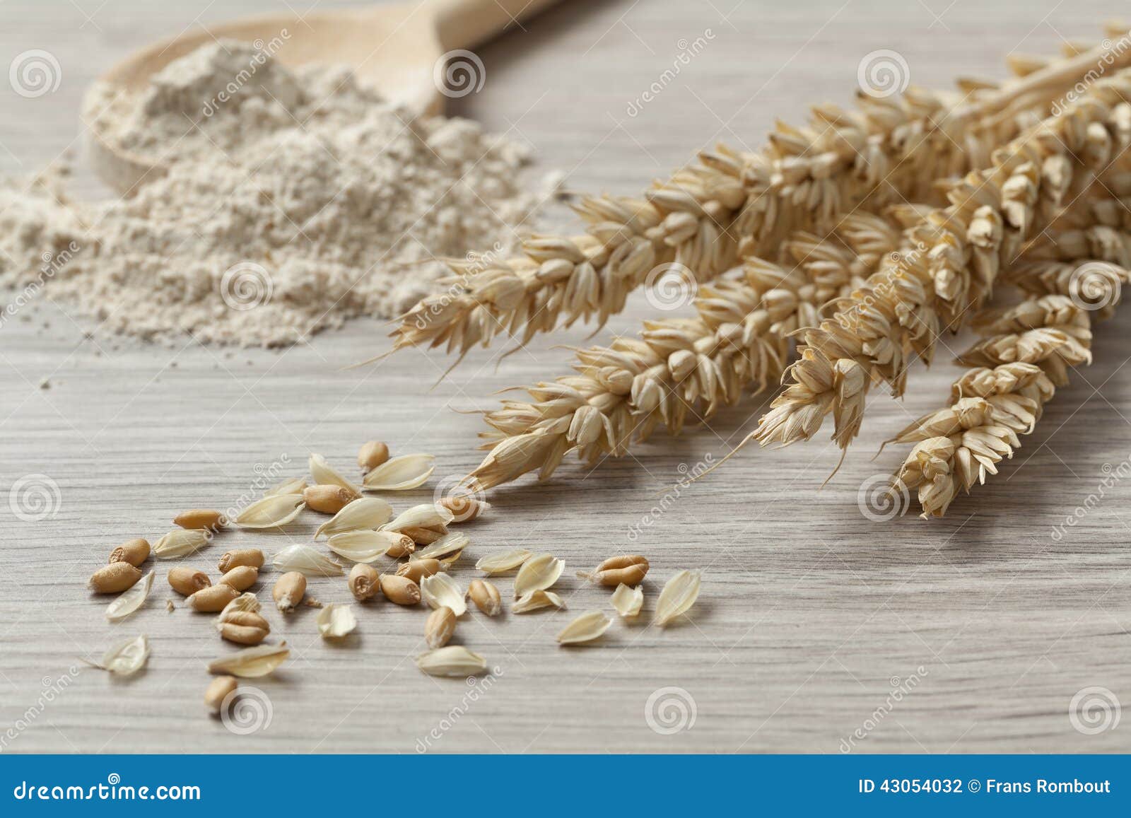 Dried Wheat, Seeds and Flour Stock Photo - Image of seed, healthy: 43054032